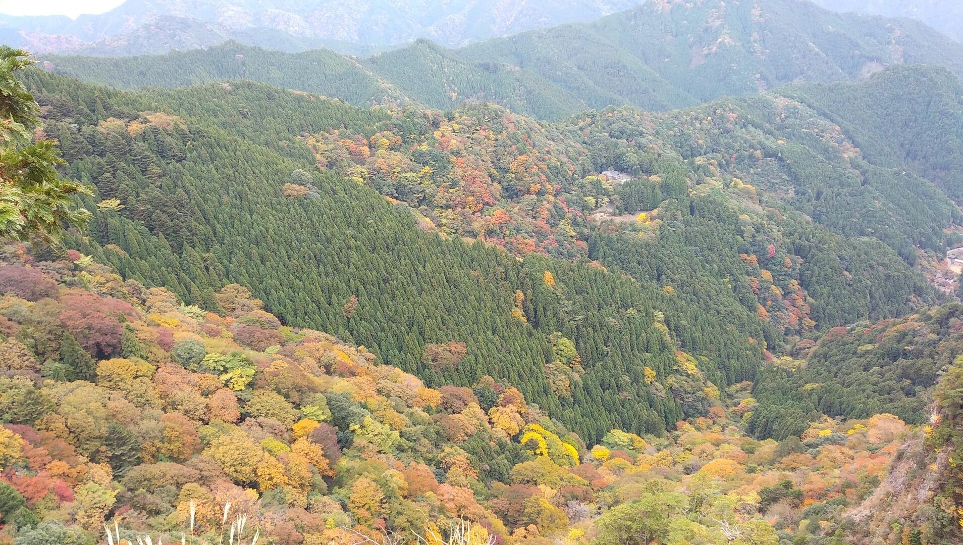 雪彦山 地蔵岳東稜ノーマルルート / RIKOさんの雪彦山の活動データ | YAMAP / ヤマップ