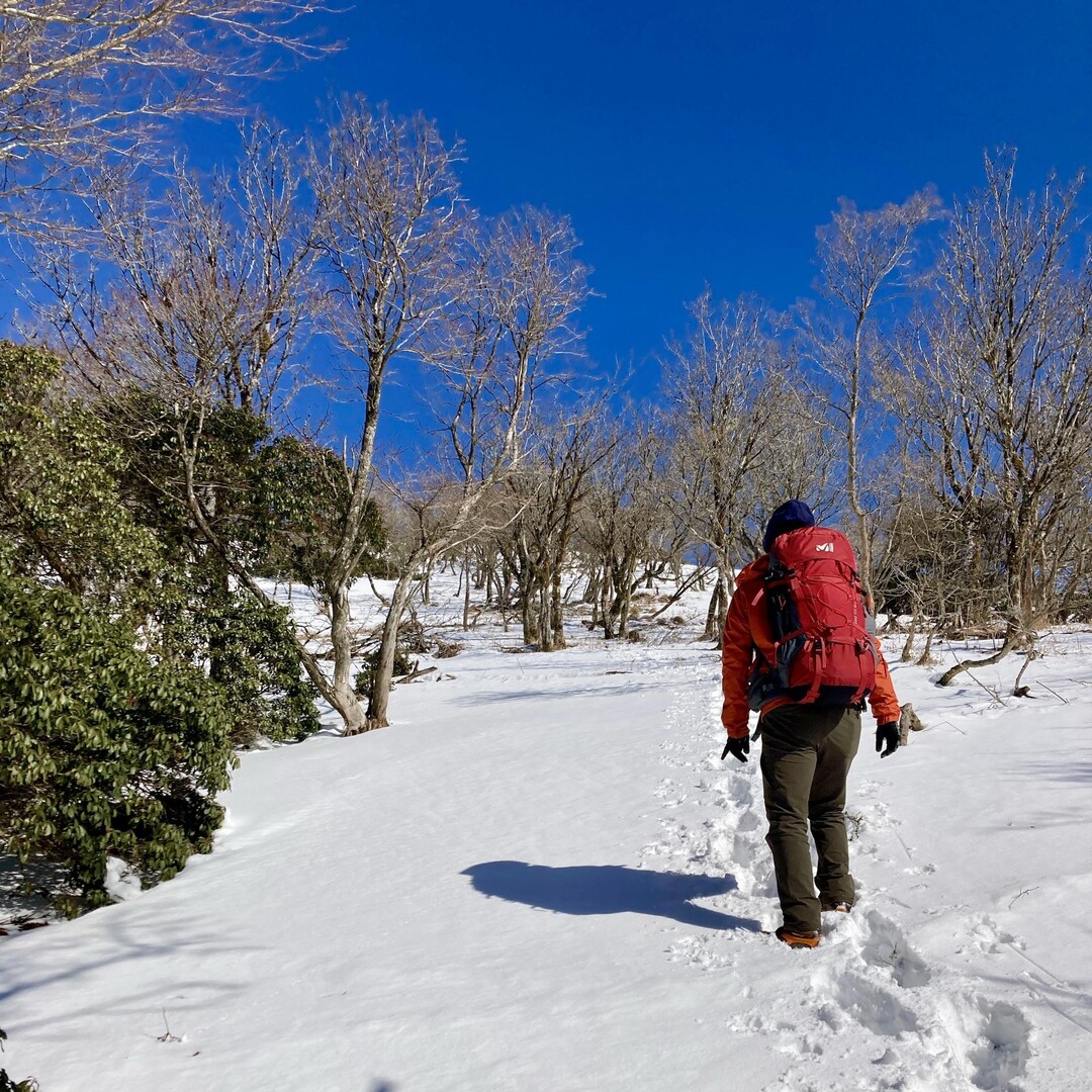 雪の蓬莱山 / Hirofumi I🕶さんの比良山地・武奈ヶ岳・釈迦岳の活動データ | YAMAP / ヤマップ