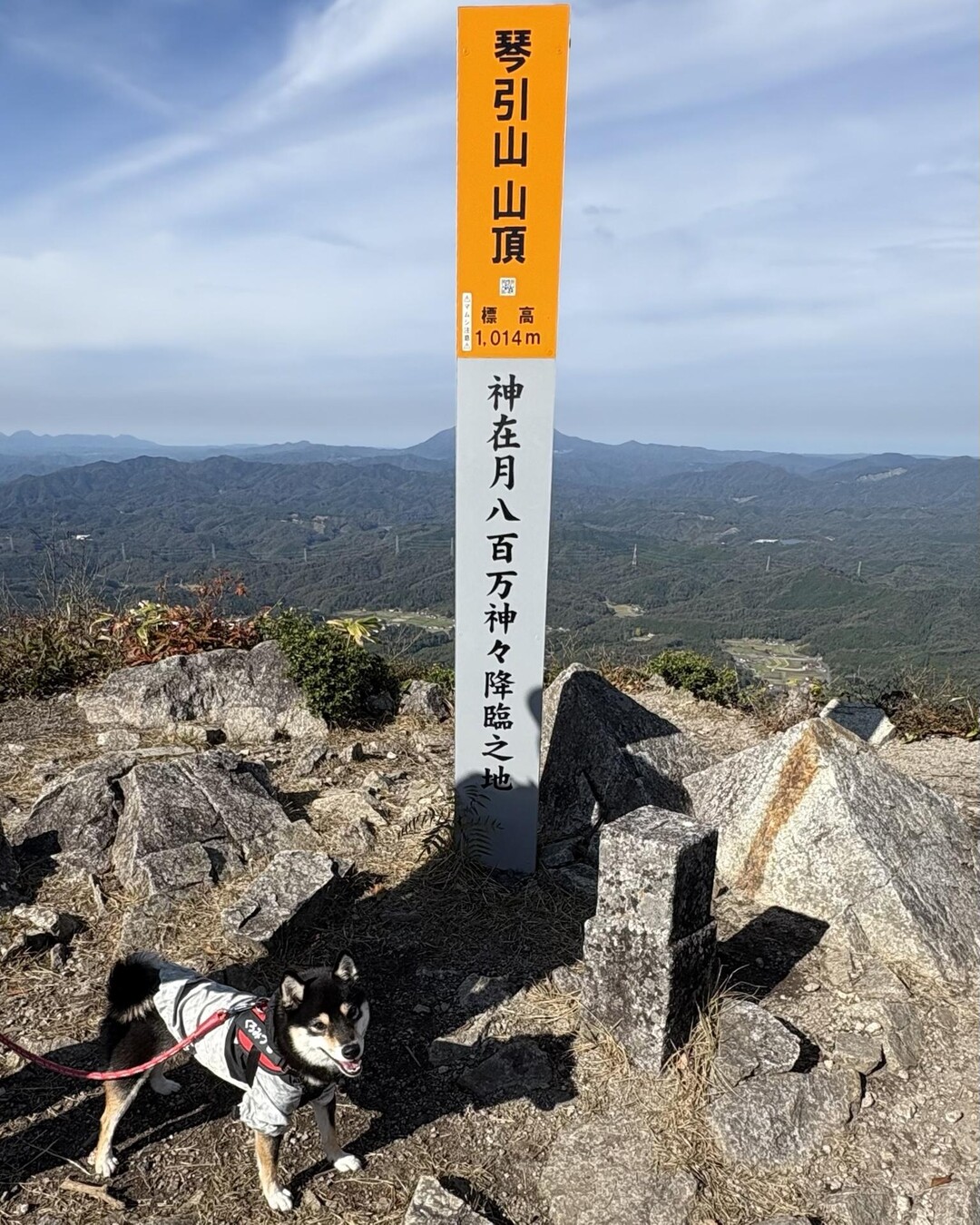 【🐕】琴引山（弥山） / かんださんの大万木山・琴引山（弥山）・指谷山・鯛ノ巣山の活動データ | YAMAP / ヤマップ