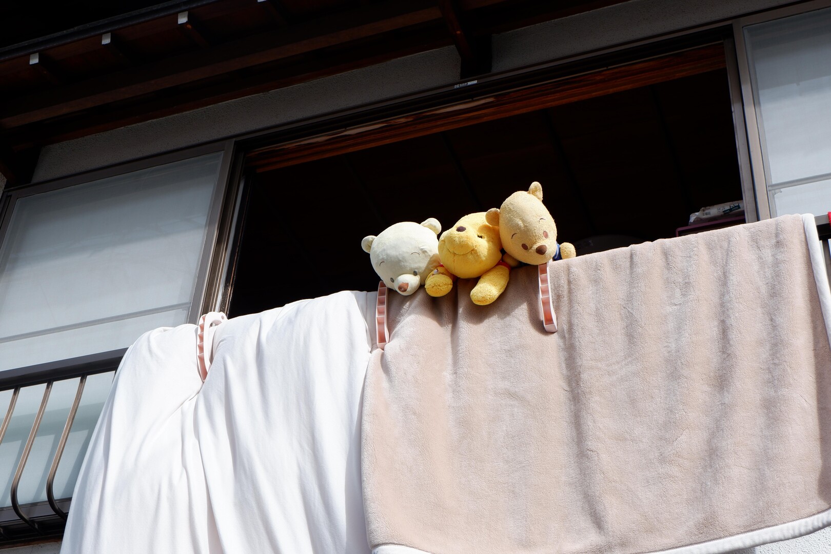 鳥居峠 JRさわやかウォーキング / モモシロウさんの経ヶ岳・坊主岳の活動データ | YAMAP / ヤマップ