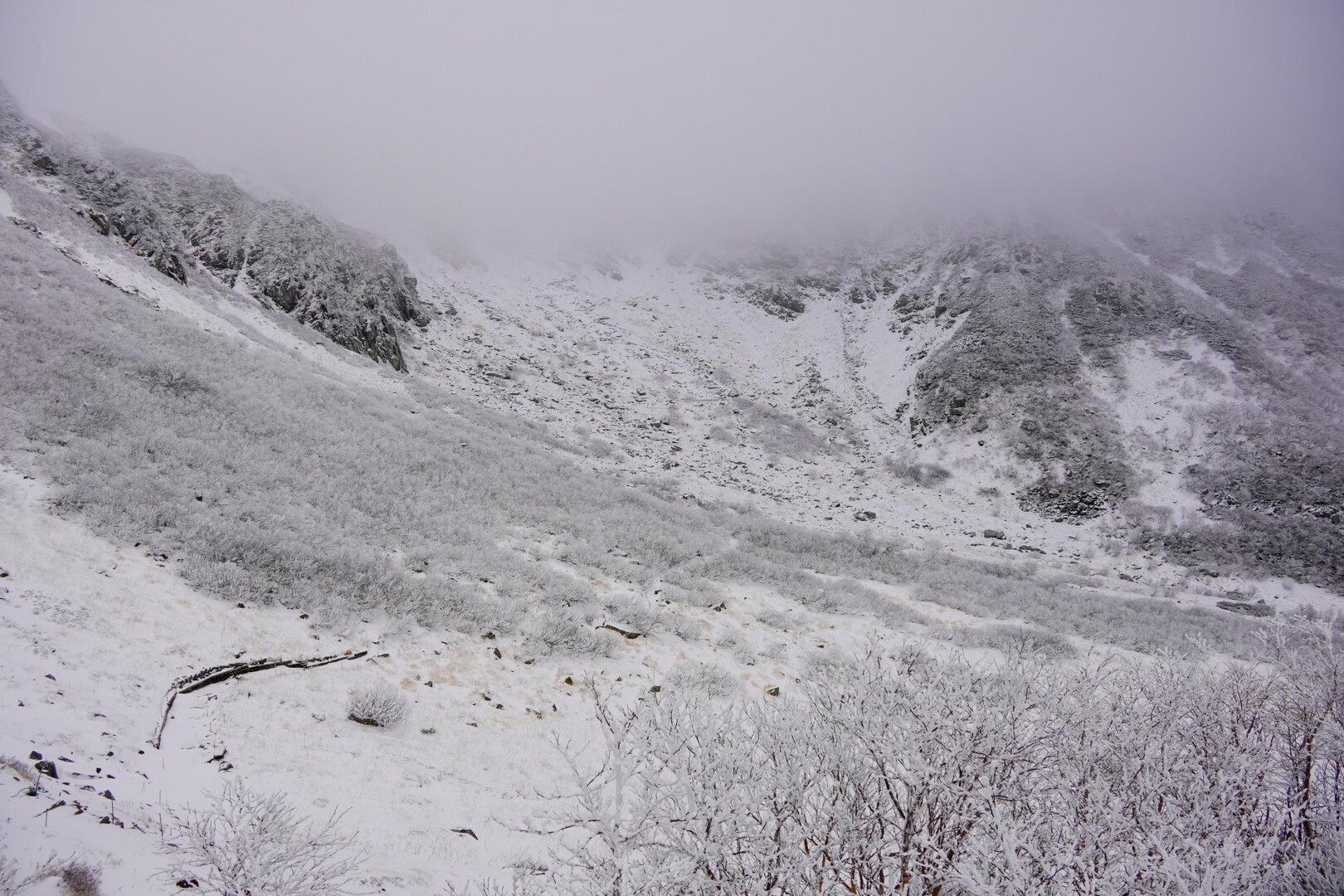 霧氷の世界だった木曽駒ヶ岳-2022-12-08 / だいちゃんさんの木曽駒ヶ岳・空木岳・越百山の活動データ | YAMAP / ヤマップ