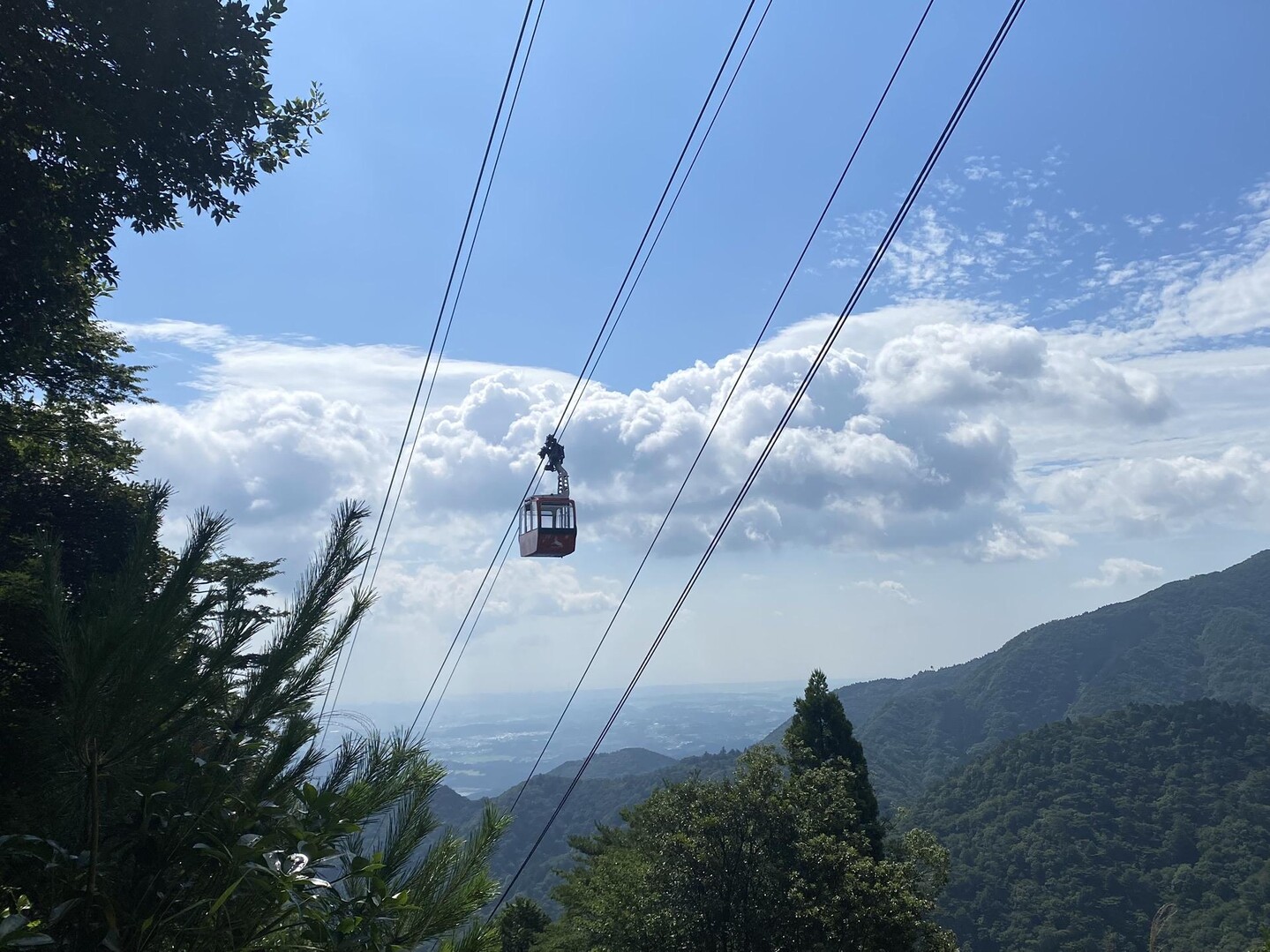 御在所夏場所 / ゆいPさんの御在所岳（御在所山）・雨乞岳の活動日記 | YAMAP / ヤマップ
