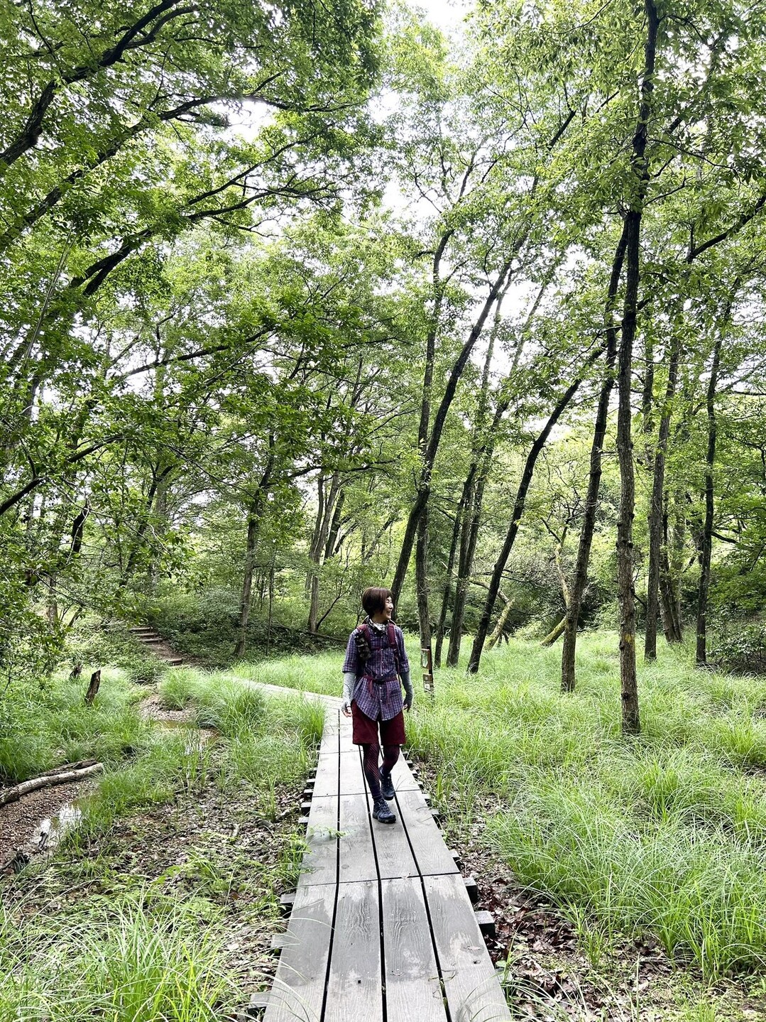 布引の森🌳ハイキング-2023-06-27 / ☆miko☆さんのハイキングの活動データ | YAMAP / ヤマップ