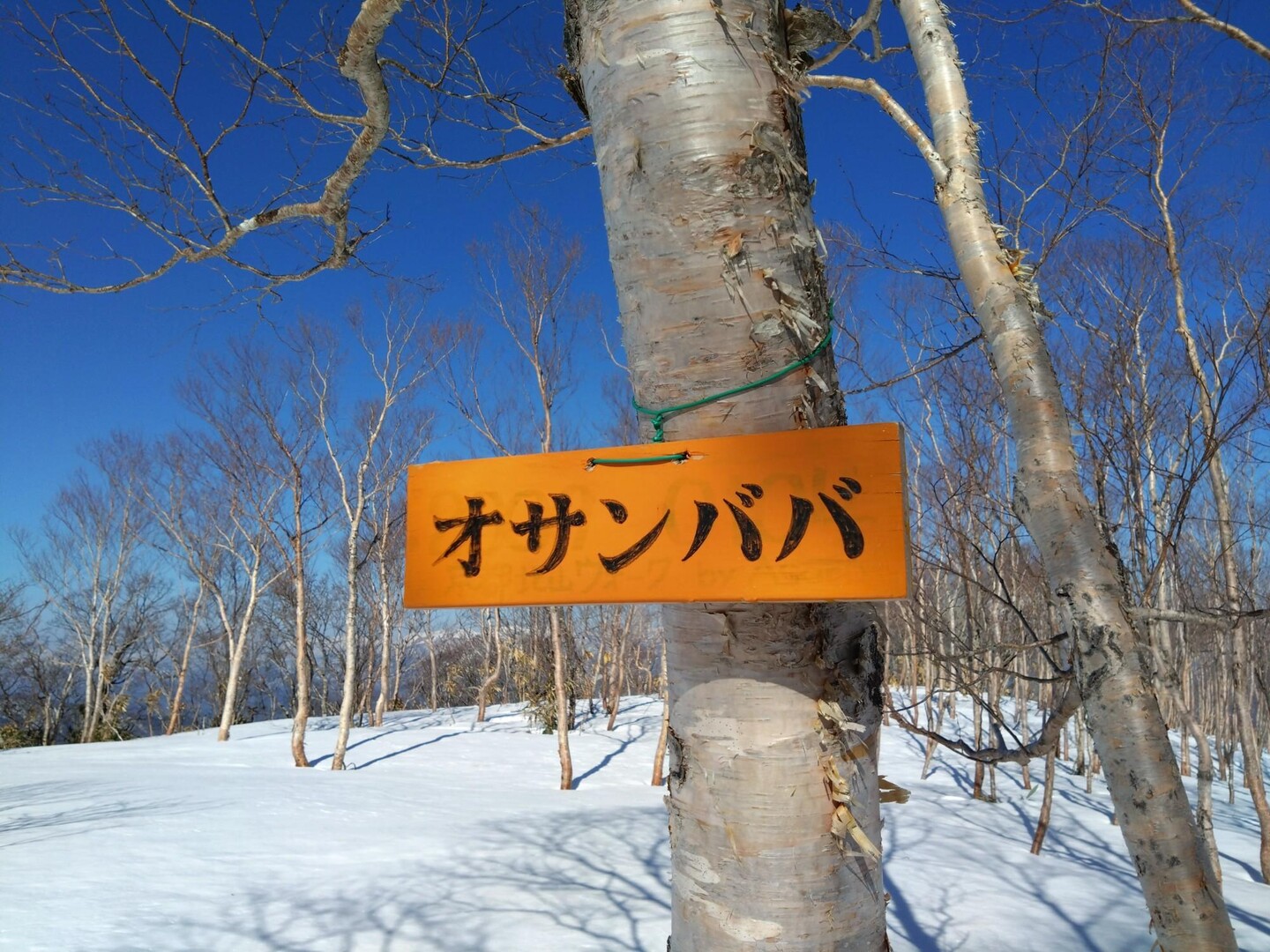 山中山(オサンババ) JA/GF-029 / muuさんの鷲ヶ岳の活動データ | YAMAP / ヤマップ