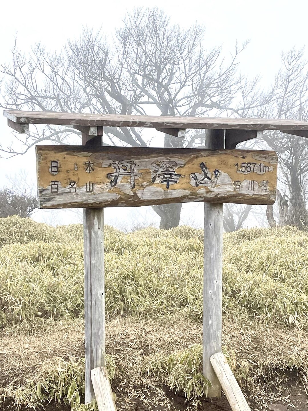 塔ノ岳・丹沢山 / zumiさんの塔ノ岳・丹沢山・蛭ヶ岳の活動データ | YAMAP / ヤマップ