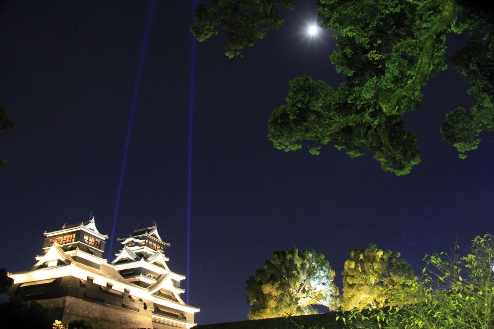 天守閣が復活した熊本城。 これを祝うかの... / コテツ1113さんのモーメント | YAMAP / ヤマップ