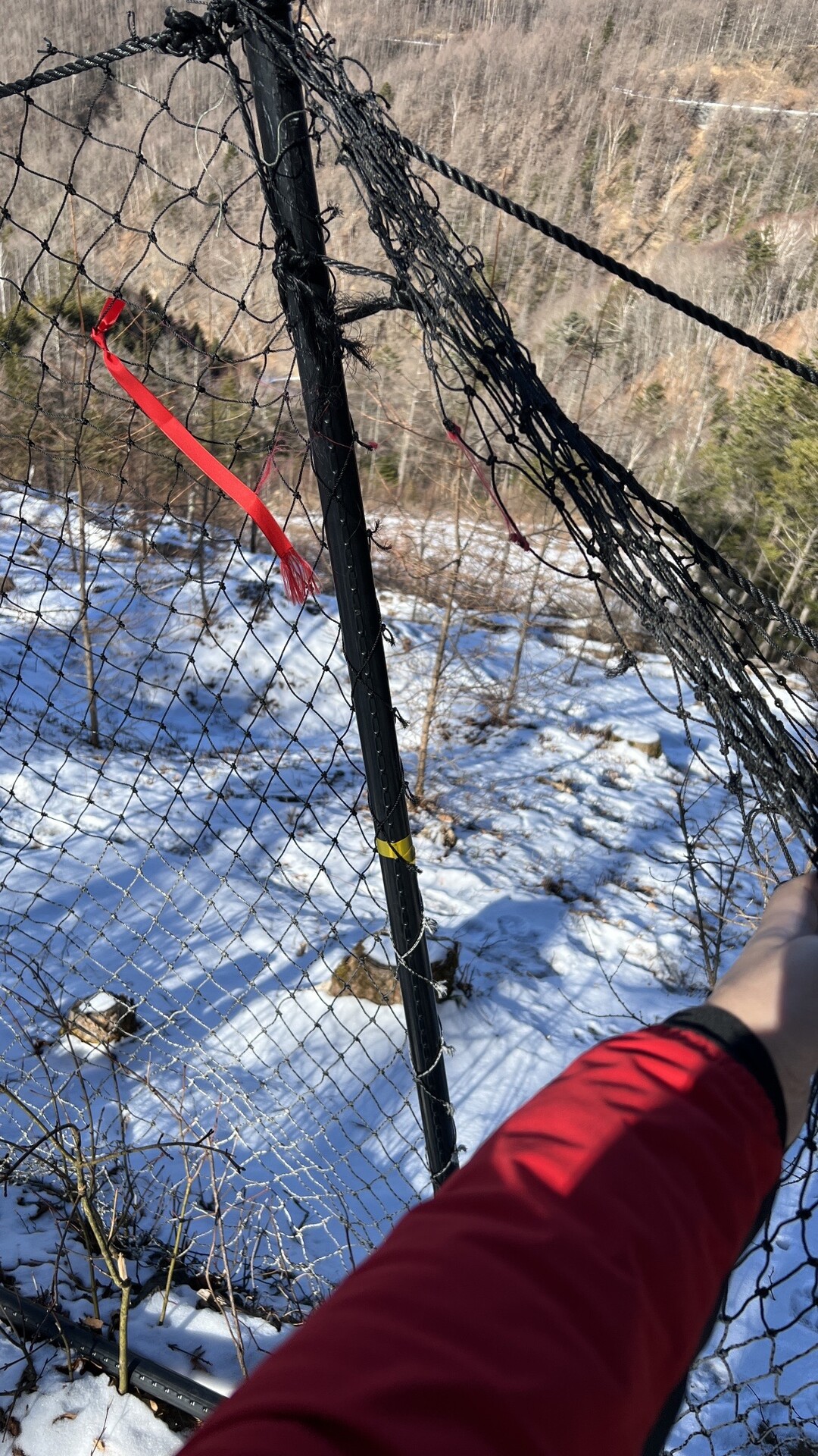 Tamiyoさんの投稿したフィールドメモ | YAMAP / ヤマップ