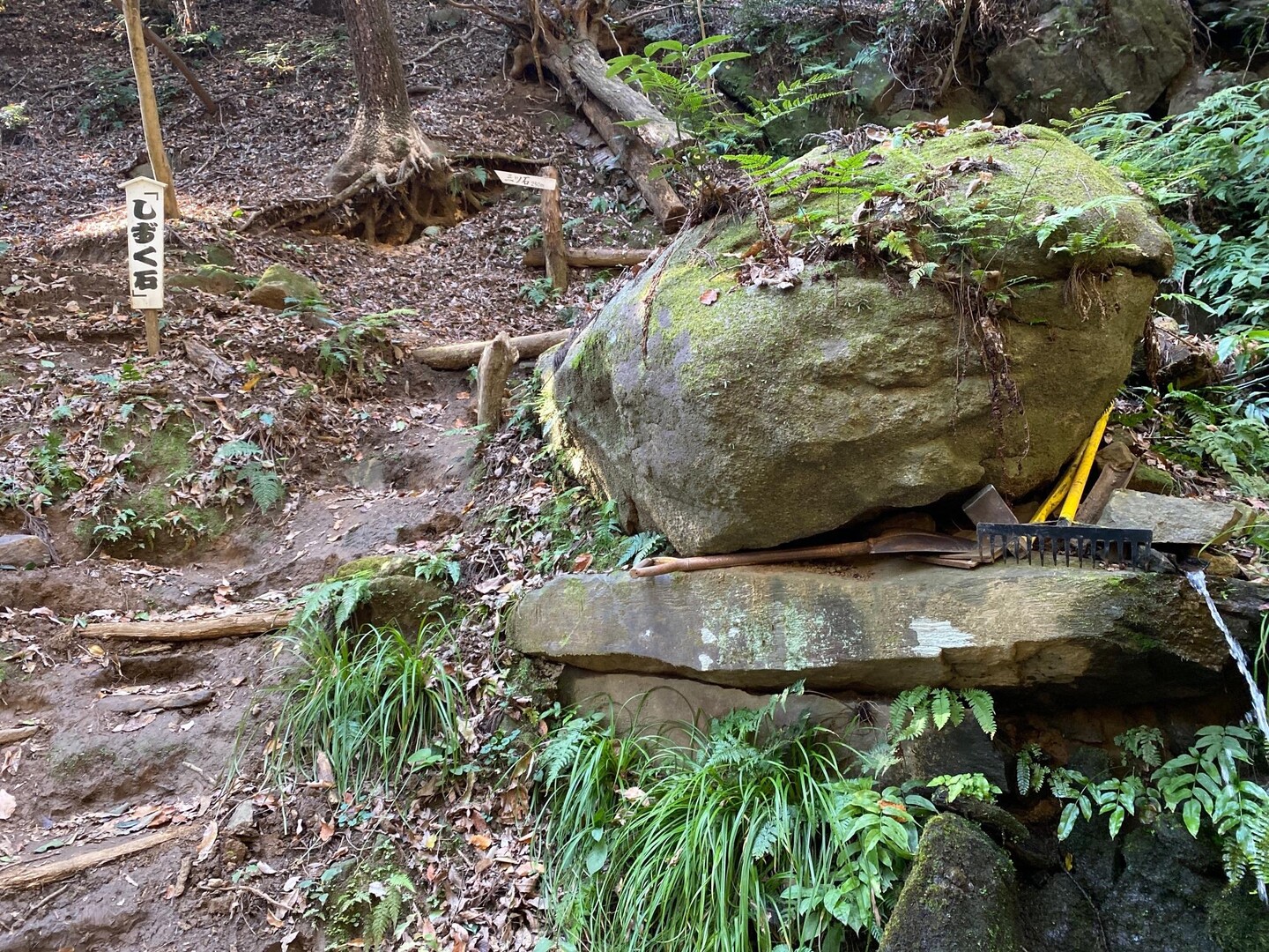 Gomaさんの投稿したフィールドメモ | YAMAP / ヤマップ