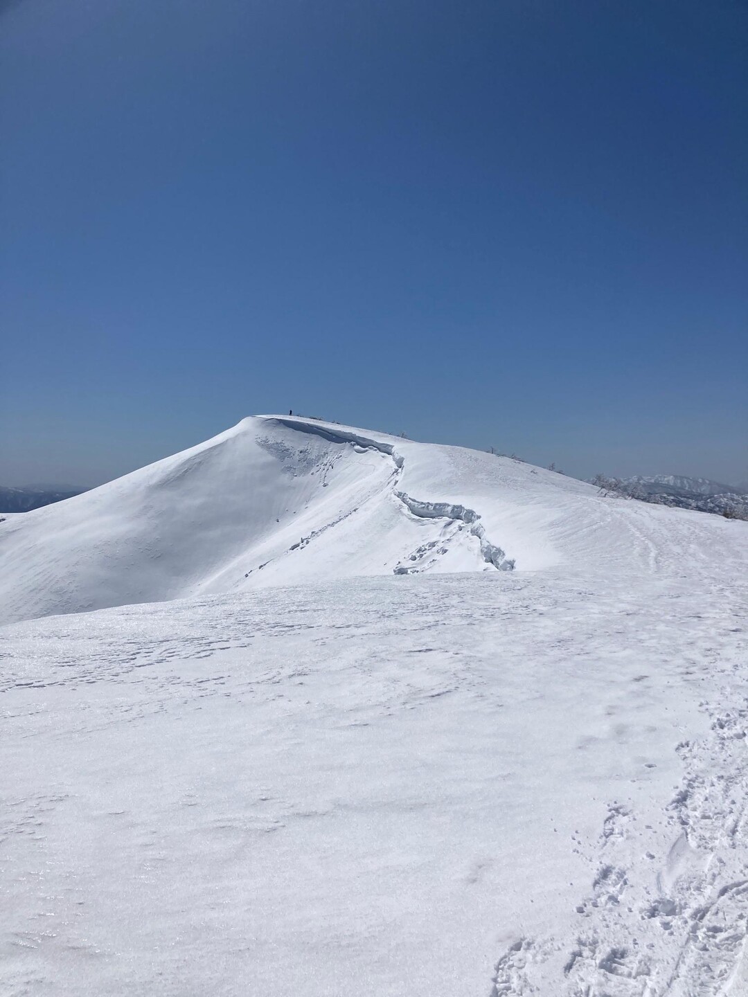 ブラボー！金剛堂山 / miyaさんの金剛堂山の活動データ | YAMAP / ヤマップ