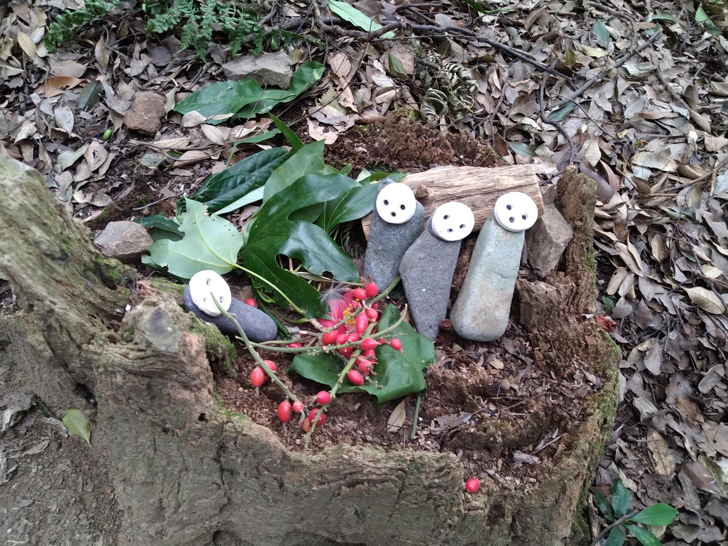 宗像・許斐山 / ryuchanさんの許斐山の活動データ | YAMAP / ヤマップ