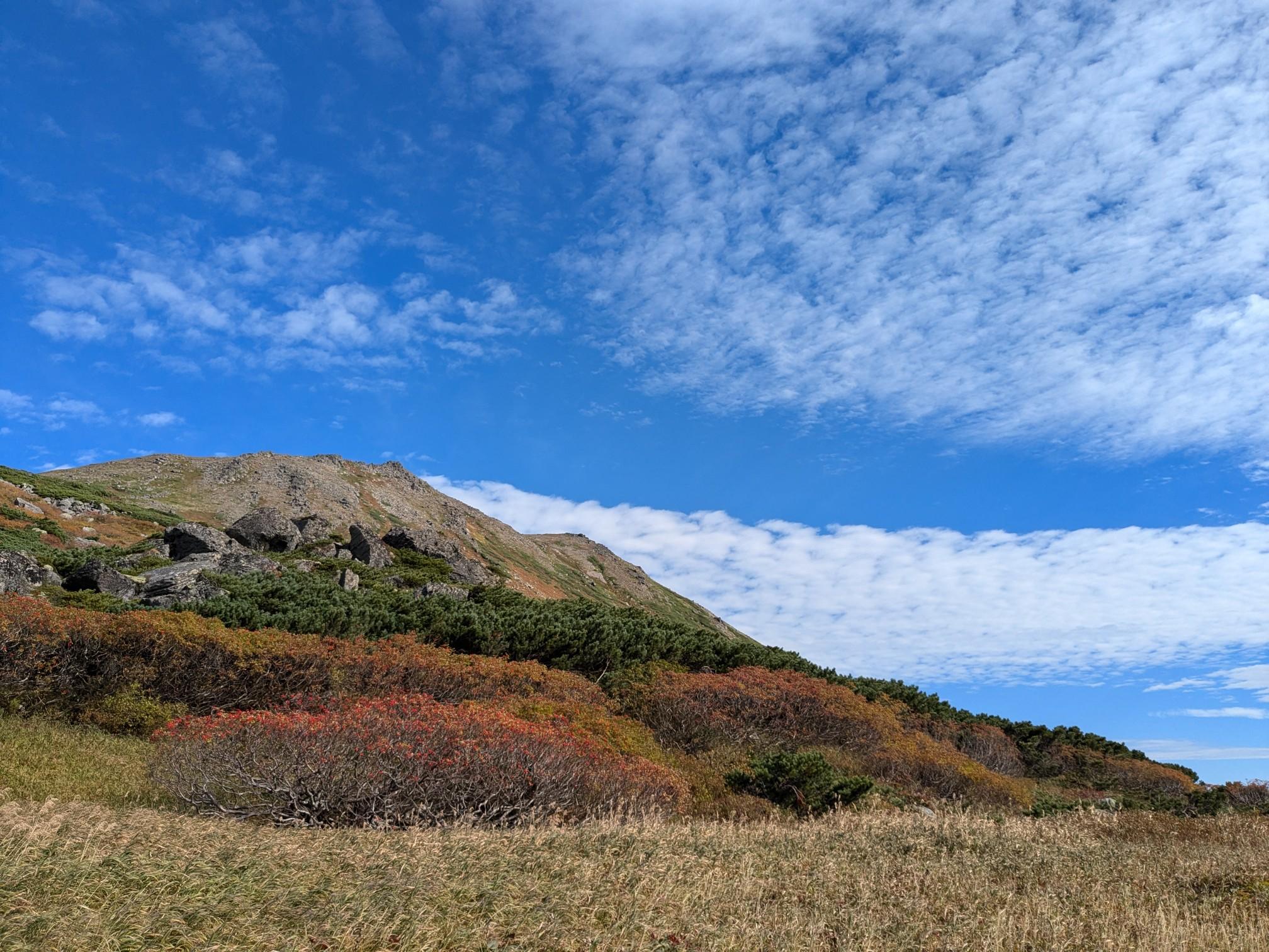 Re:Re:トムラウシ山 / akinoringさんの大雪山系・旭岳・トムラウシの活動データ | YAMAP / ヤマップ