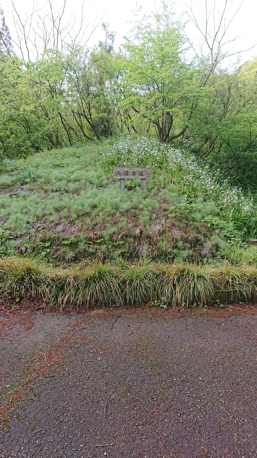 富士写ヶ岳 (8回目) 火燈古道より半時計回り / jt0450さんの富士写ヶ岳・小倉谷山・火燈山の活動データ | YAMAP / ヤマップ