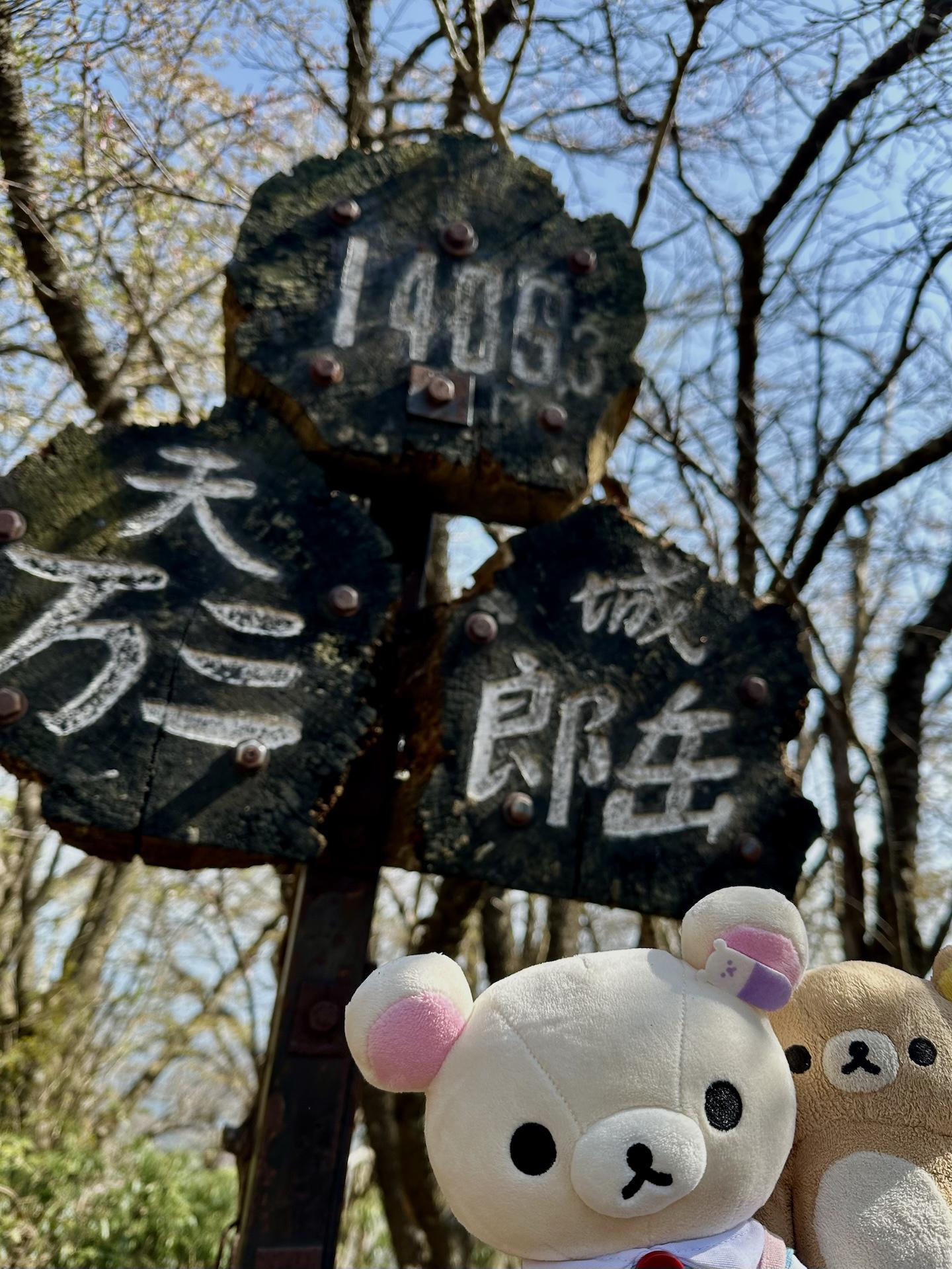 侮るなかれ天城山周回(万二郎岳・万三郎岳） / aayanさんの天城山・鉢ノ山・三筋山の活動データ | YAMAP / ヤマップ