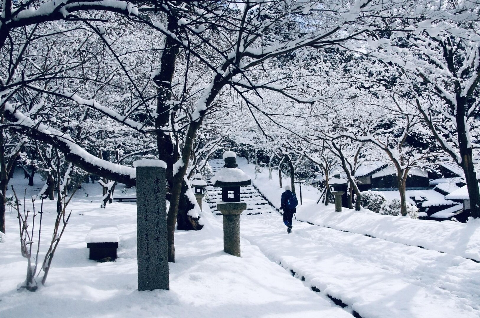 雪の秋月 撮影練習会 / kazuさんのウォーキングの活動日記 | YAMAP / ヤマップ