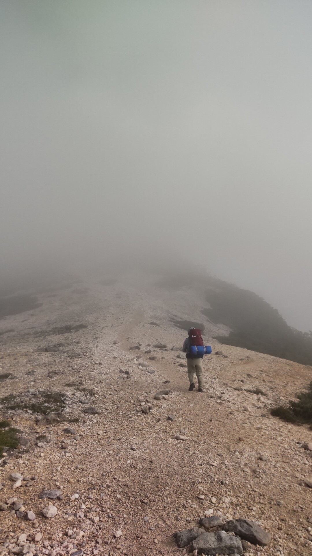 本沢温泉〜東天狗岳〜ニュウ〜白駒池 / 441Mさんの八ヶ岳（赤岳・硫黄岳・天狗岳）の活動データ | YAMAP / ヤマップ