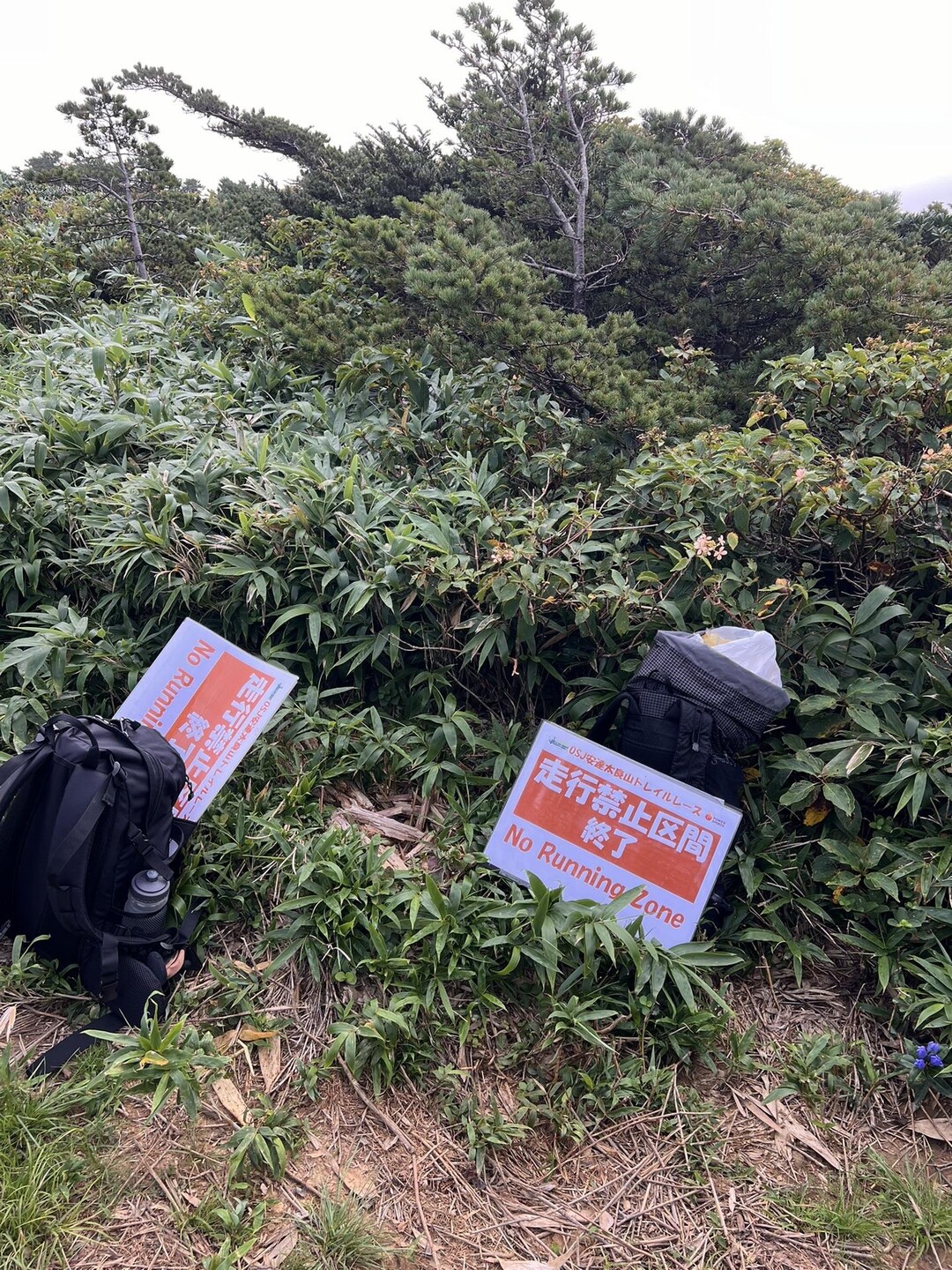 OSJ安達太良山トレイル50Kボラ / みんみんさんの安達太良山・箕輪山・鬼面山の活動日記 | YAMAP / ヤマップ