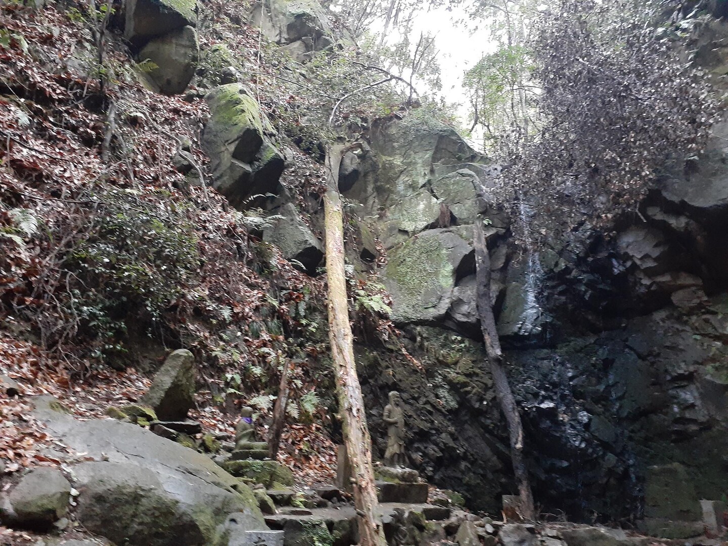 Noriさんの投稿したフィールドメモ | YAMAP / ヤマップ