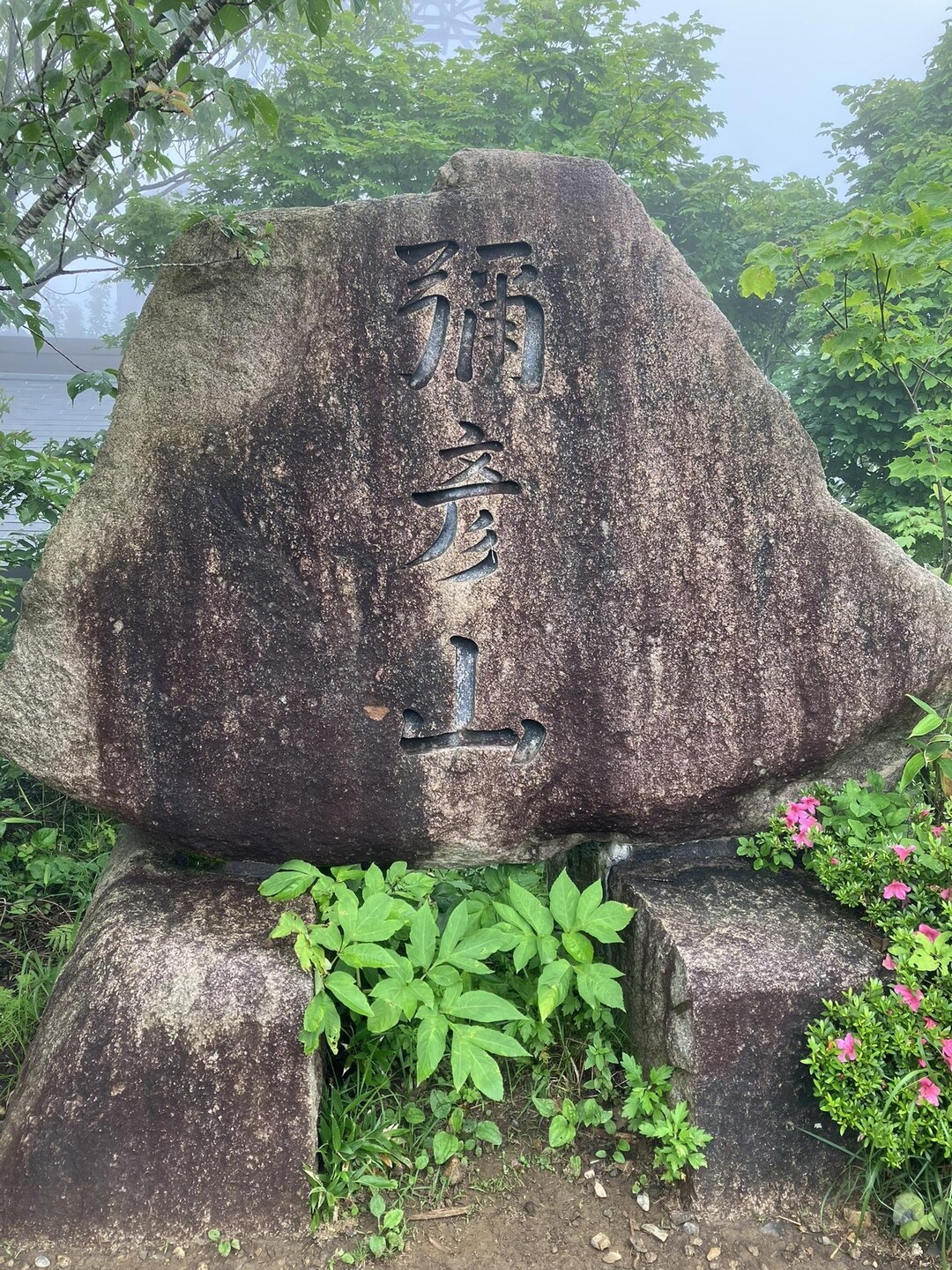 弥彦山 / YUKIZARU。さんの弥彦山・多宝山・雨乞山の活動データ | YAMAP / ヤマップ