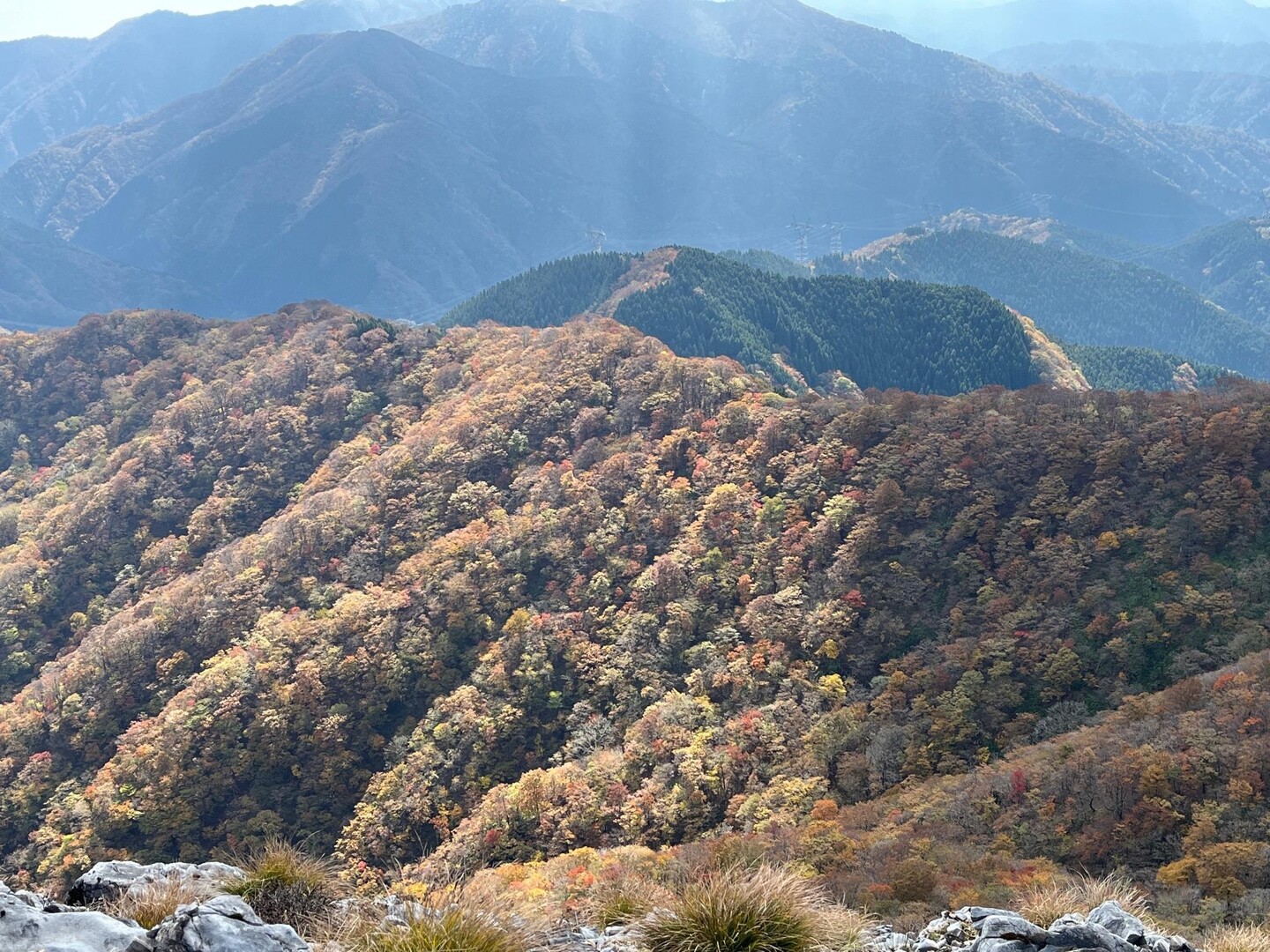 御池岳 / あんずさんの藤原岳・御池岳の活動データ | YAMAP / ヤマップ