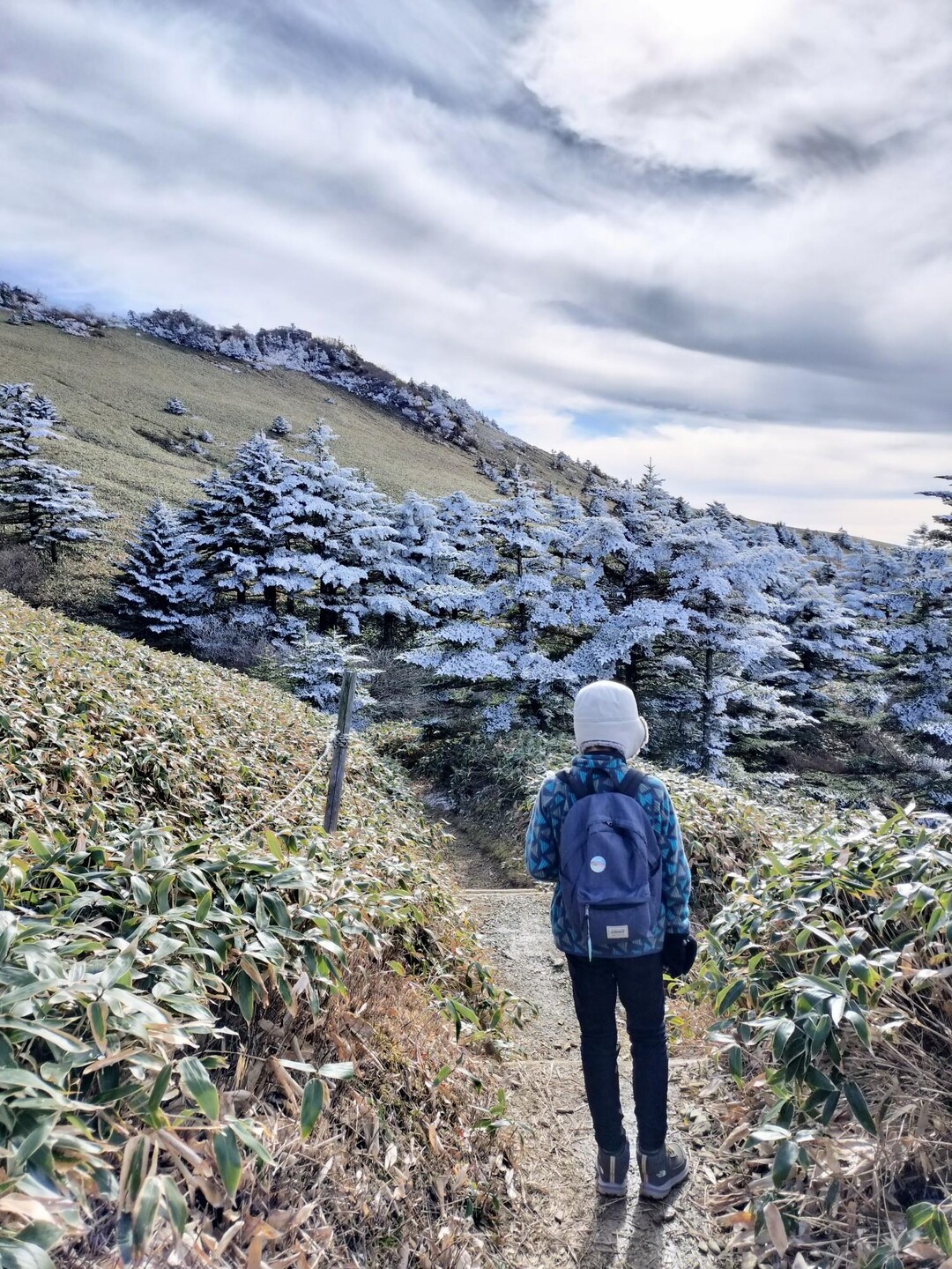 瓶ヶ森 親子で霧氷ハイキング / natuさんの瓶ヶ森・伊予富士の活動データ | YAMAP / ヤマップ