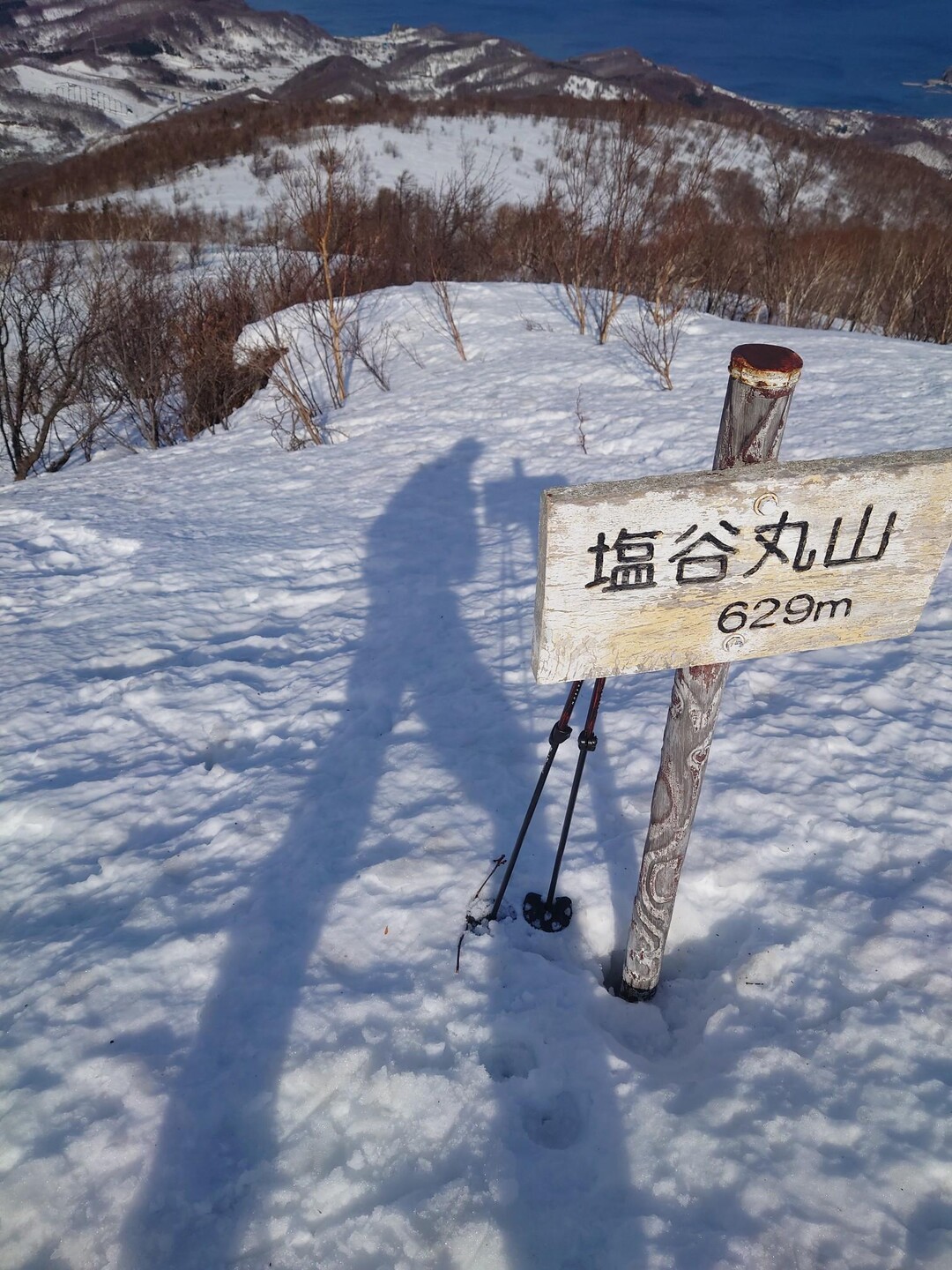 札幌から少し離れて 塩谷丸山 / Syoさんの札幌市の活動データ | YAMAP / ヤマップ