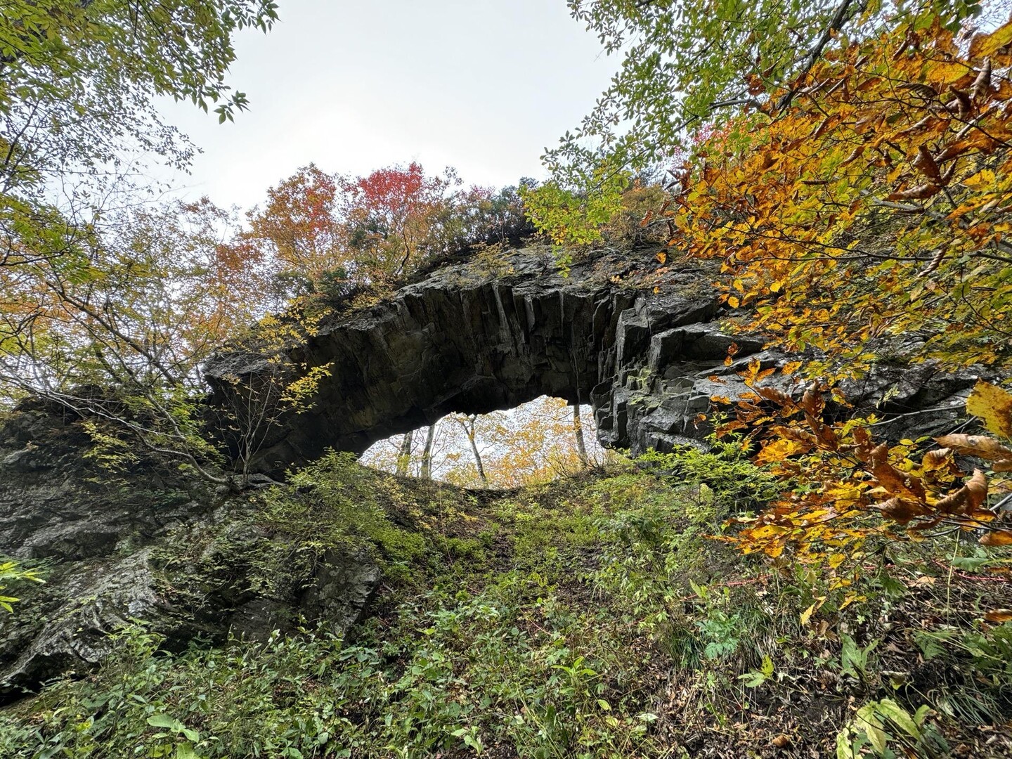川崎町の仙人沢コースにある『むじな森石橋... / BWさんのモーメント | YAMAP / ヤマップ
