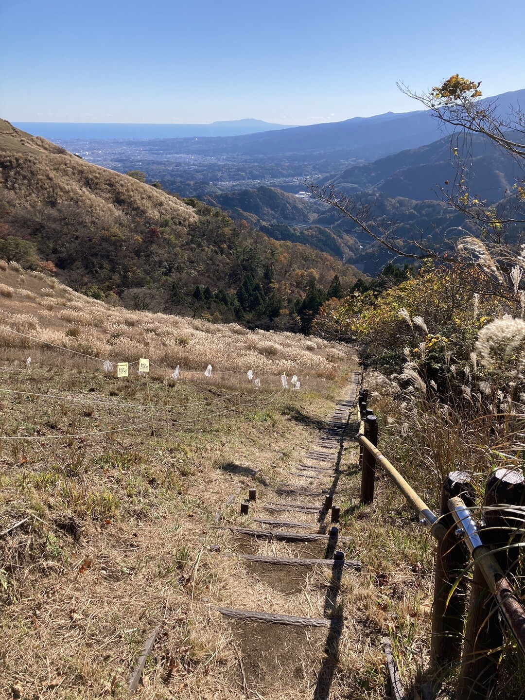 Nakkoさんさんの投稿したフィールドメモ | YAMAP / ヤマップ