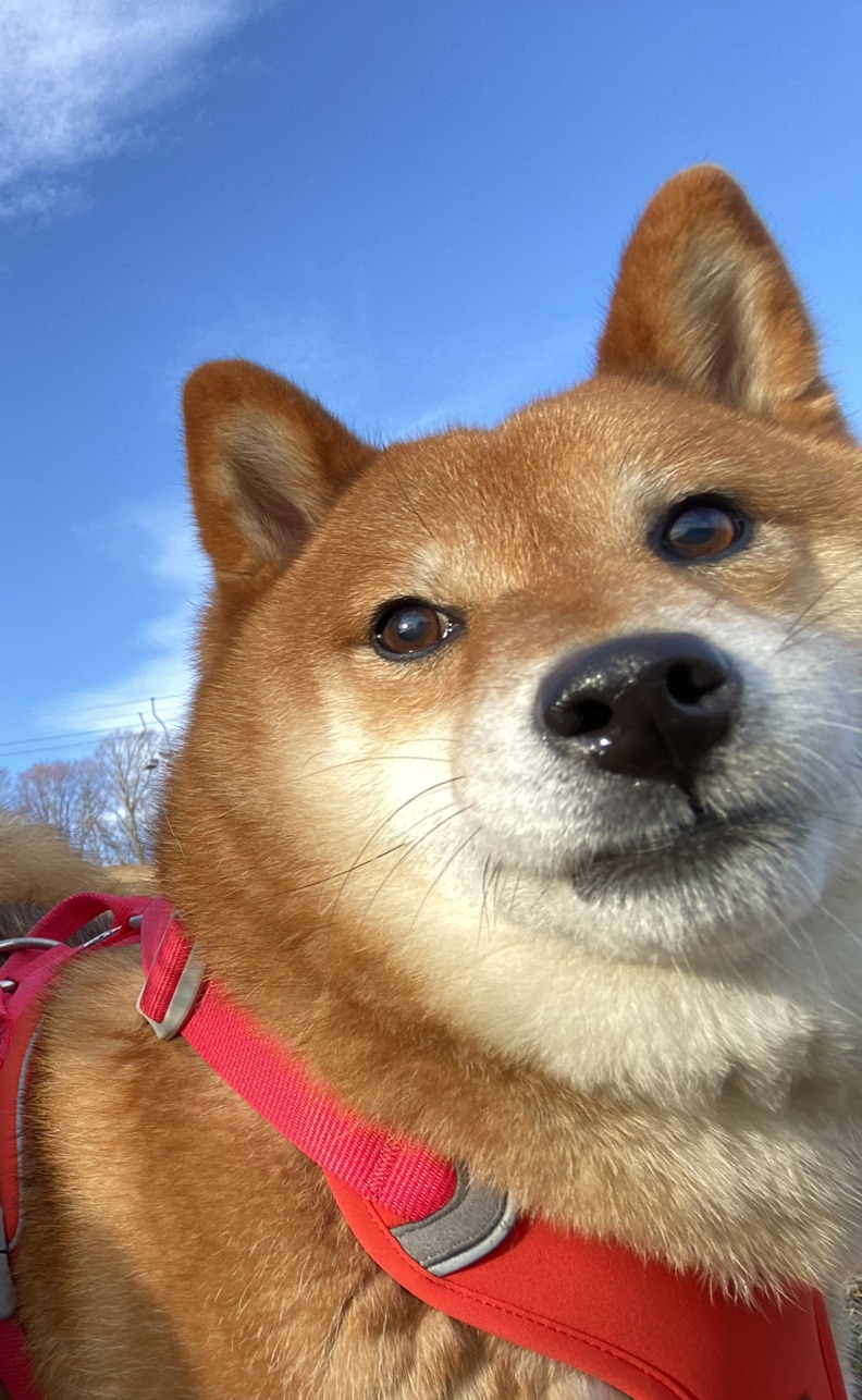 あどっちのページ | YAMAP / ヤマップ