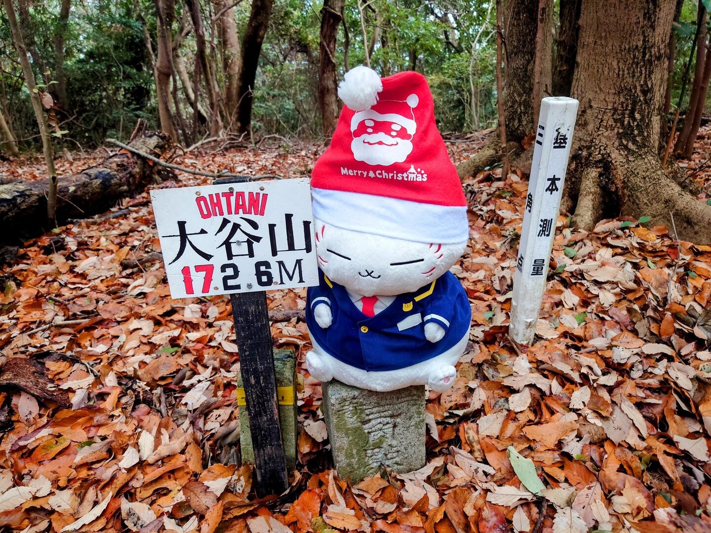 Oh〜💦大谷Sa〜n💦 / yokayamaさんの湯川山・城山・孔大寺山の活動データ | YAMAP / ヤマップ
