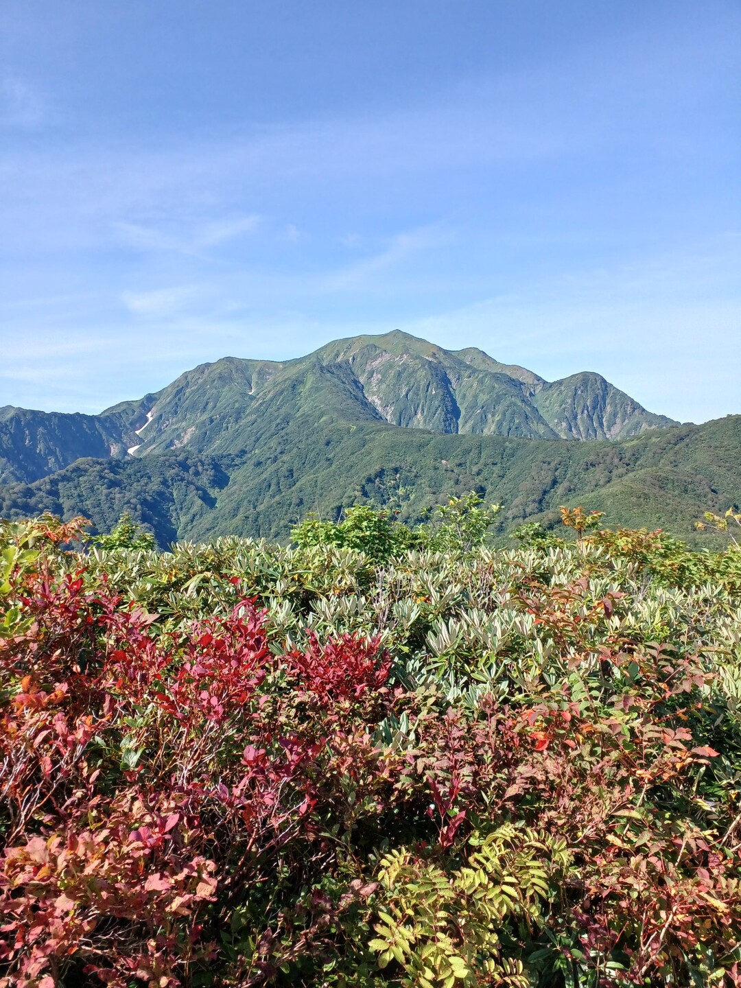 越後駒ヶ岳 / kyonさんの越後駒ヶ岳・八海山・荒沢岳の活動データ | YAMAP / ヤマップ