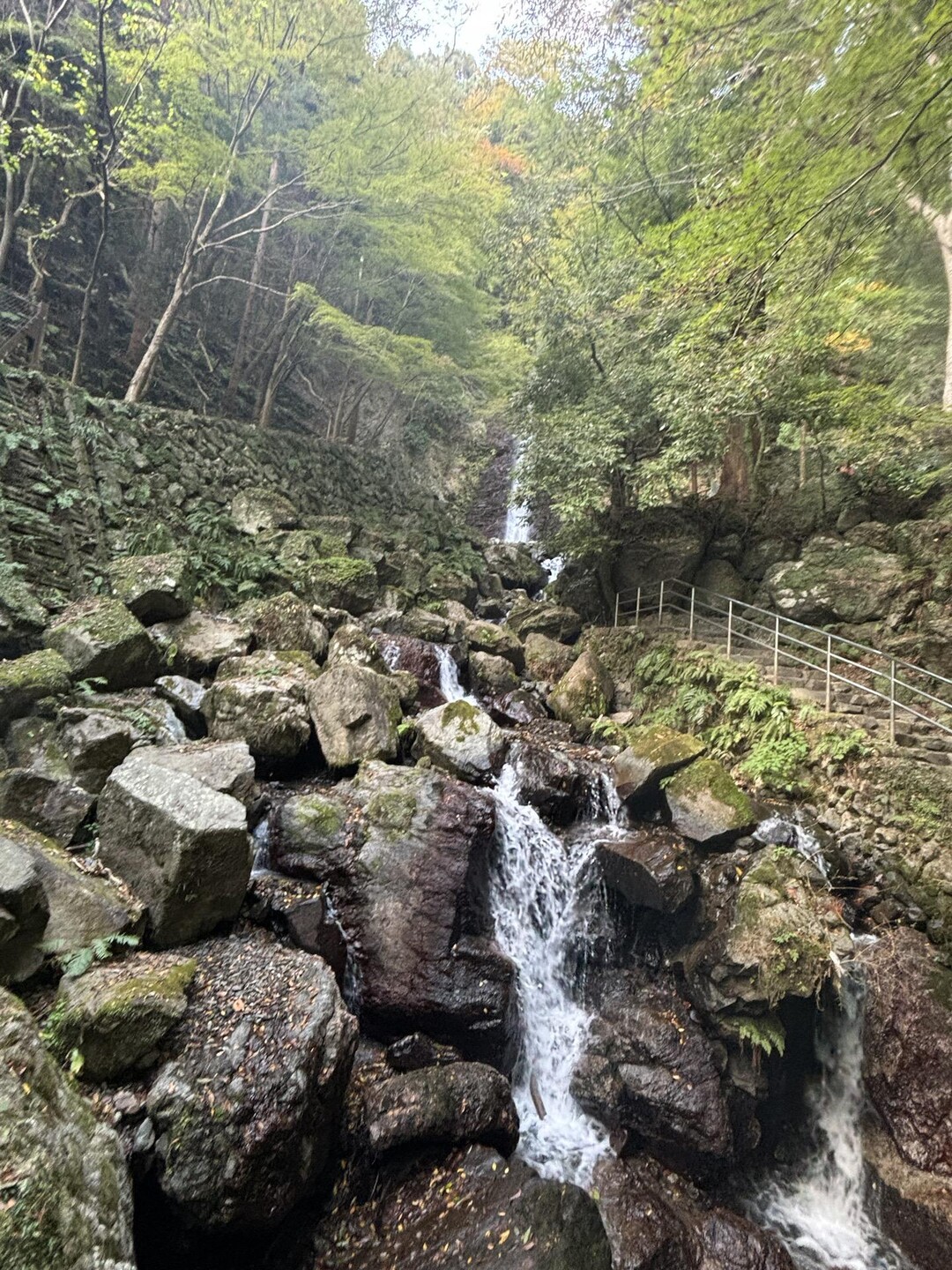 トレーニング☆三方山・小倉山・北尾根P826峰 / ミジュさんの養老山・笙ヶ岳・三方山の活動データ | YAMAP / ヤマップ