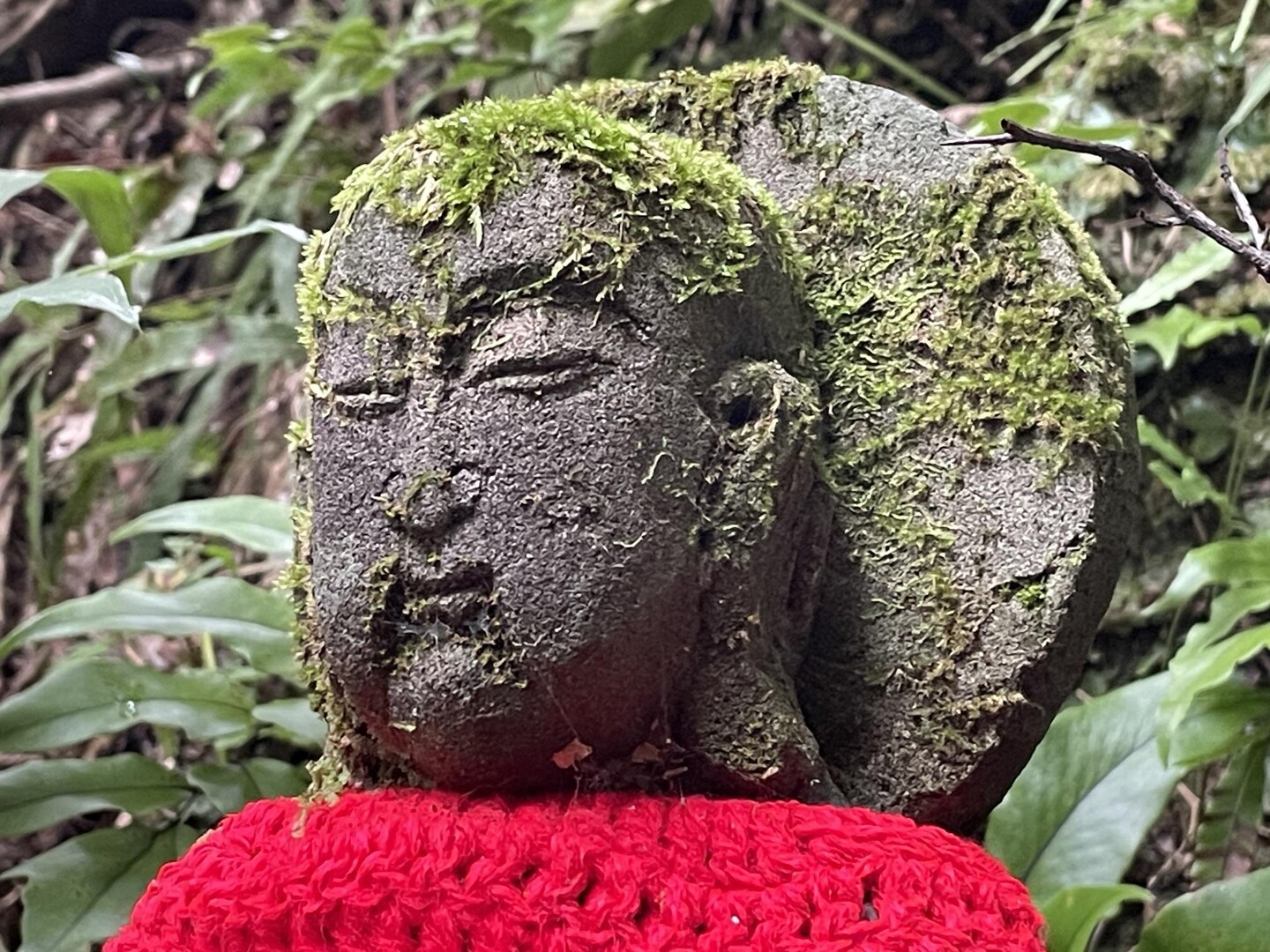 石射太郎山・高宕山 / t24riverさんの高宕山・寂光山・大塚山の活動データ | YAMAP / ヤマップ