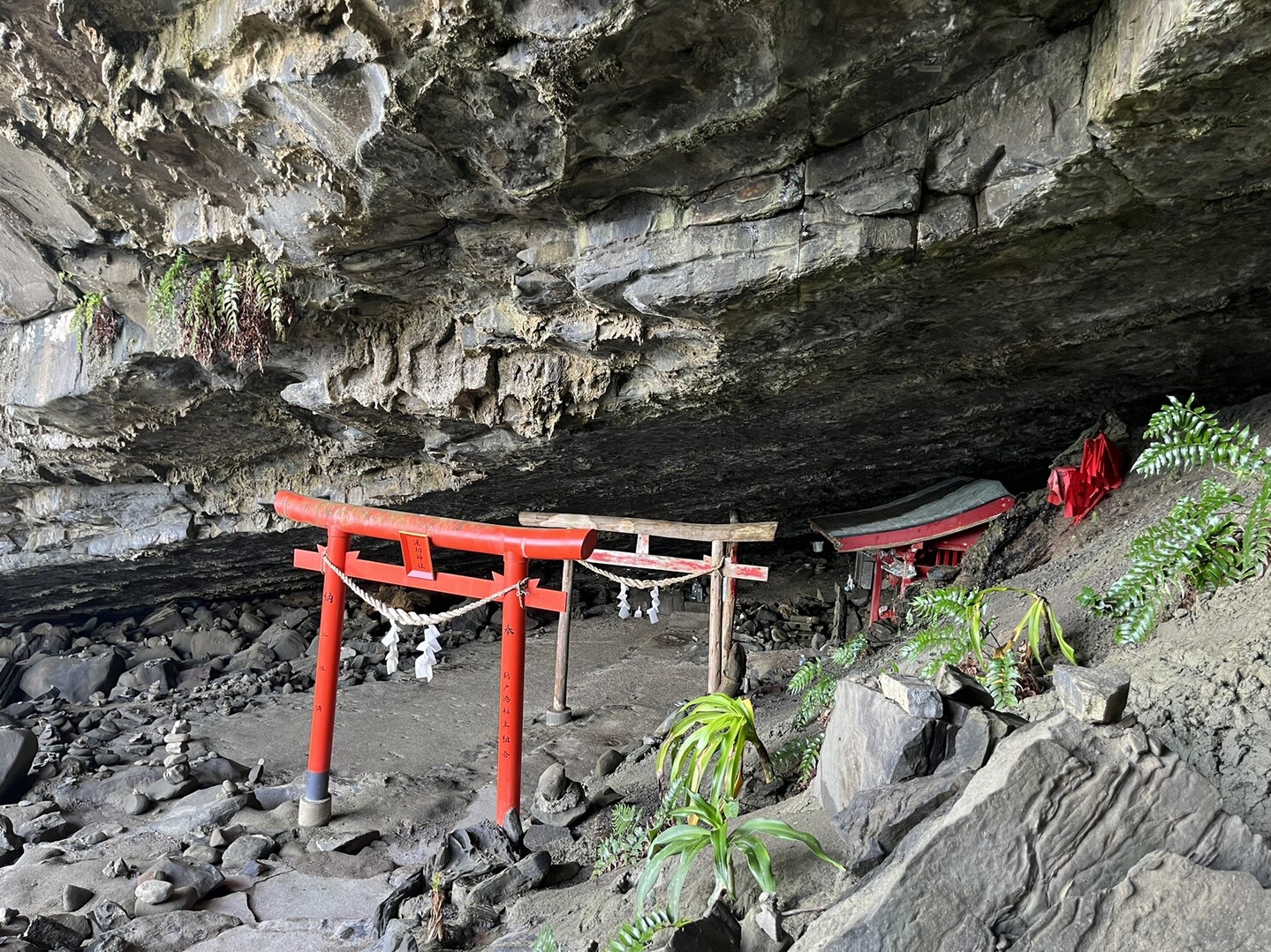 🎊㊗️獲得標高100,000m / たま😳 ️さんの高砂城山の活動データ | YAMAP / ヤマップ