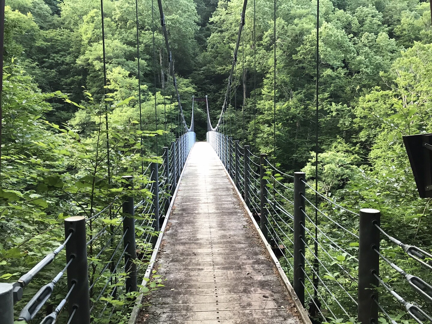 中丸山・蔵王山(熊野岳) / TKMさんの蔵王山・雁戸山・不忘山の活動データ | YAMAP / ヤマップ