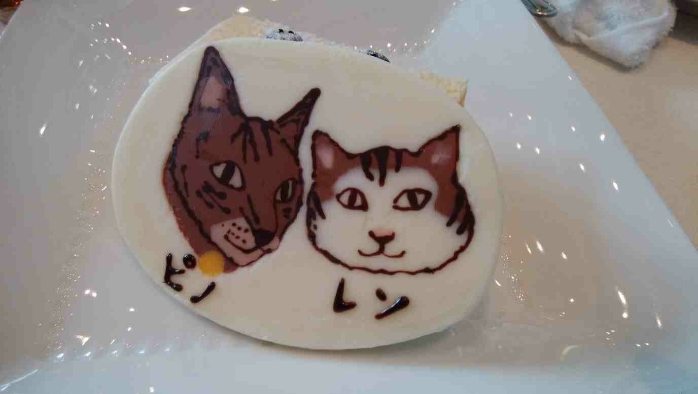 opal糸のページ | YAMAP / ヤマップ