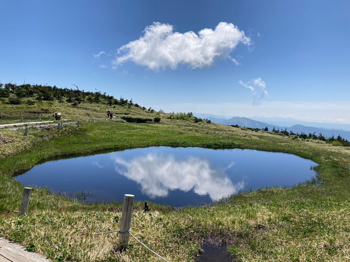 噂の楽園💙苗場山 (小赤沢コース) / mayuminさんの八ヶ岳（赤岳・硫黄岳・天狗岳）の活動データ | YAMAP / ヤマップ