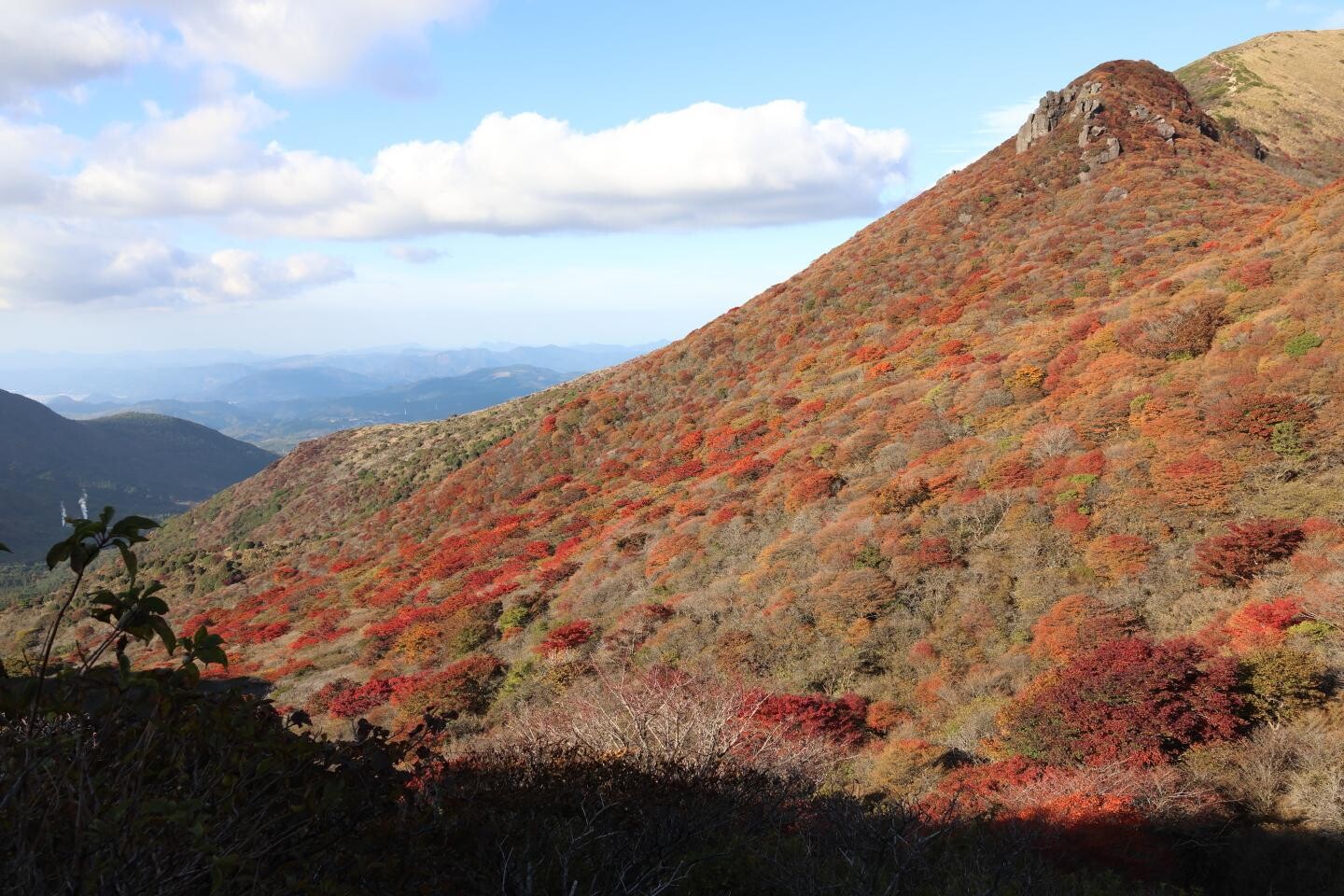 沓掛山・星生山・扇ヶ鼻も紅葉がいいね！ / miippさんの九重山（久住山）・大船山・星生山の活動データ | YAMAP / ヤマップ