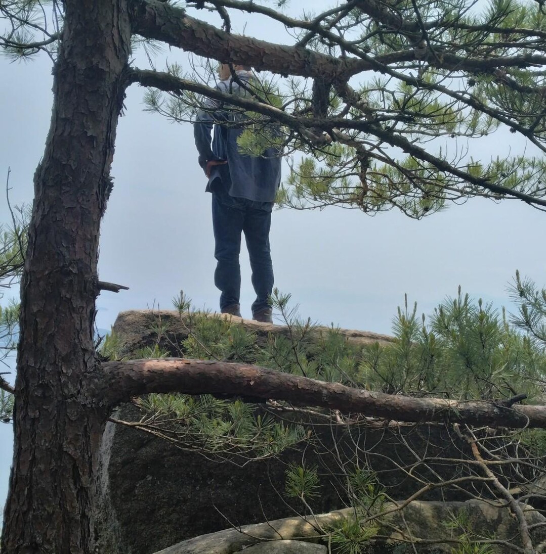 宮島 ニクイ・岩船岳 / Y、ODさんの宮島（厳島）・弥山の活動データ | YAMAP / ヤマップ
