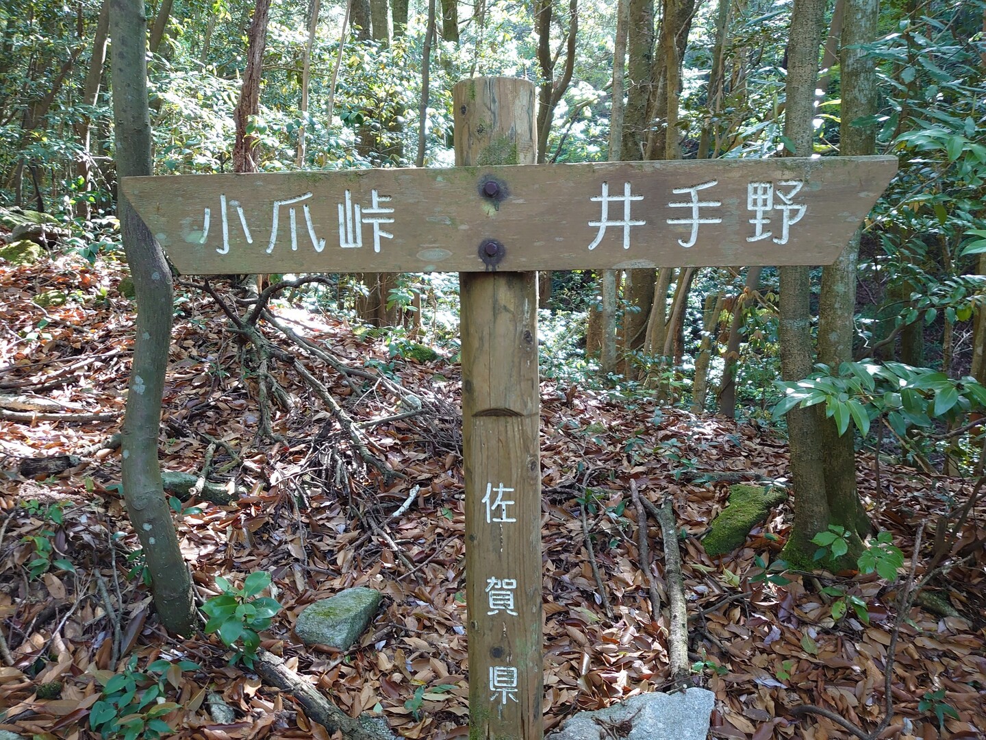 Guestさんの投稿したフィールドメモ | YAMAP / ヤマップ