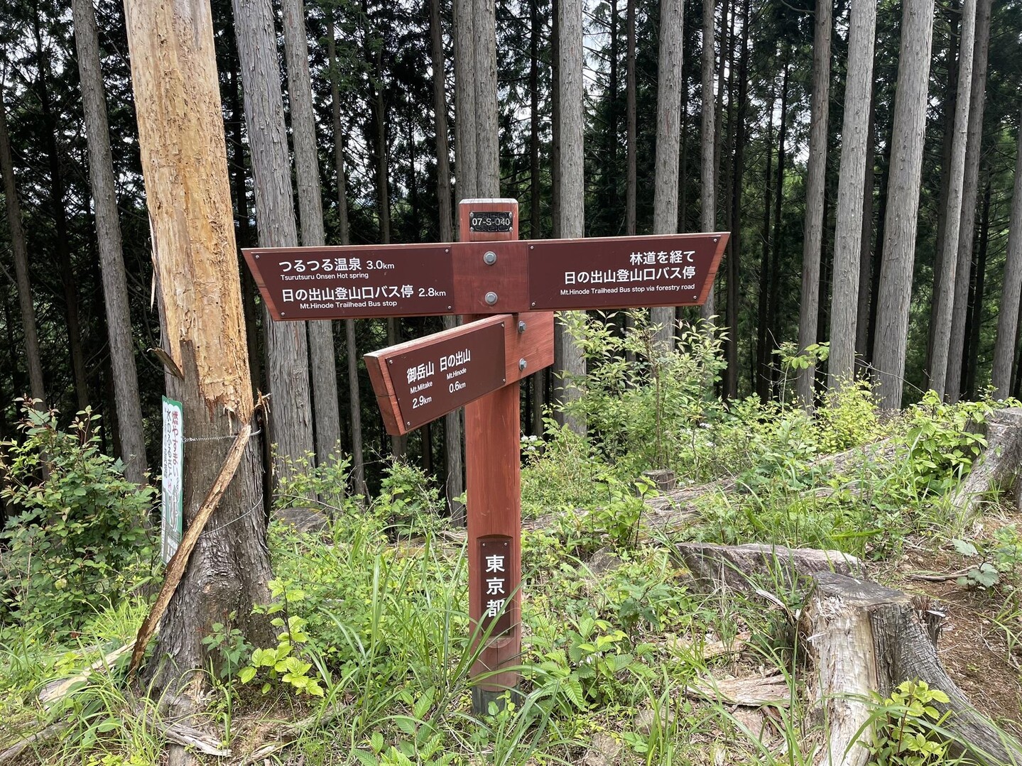 tsk-chaponさんの投稿したフィールドメモ | YAMAP / ヤマップ