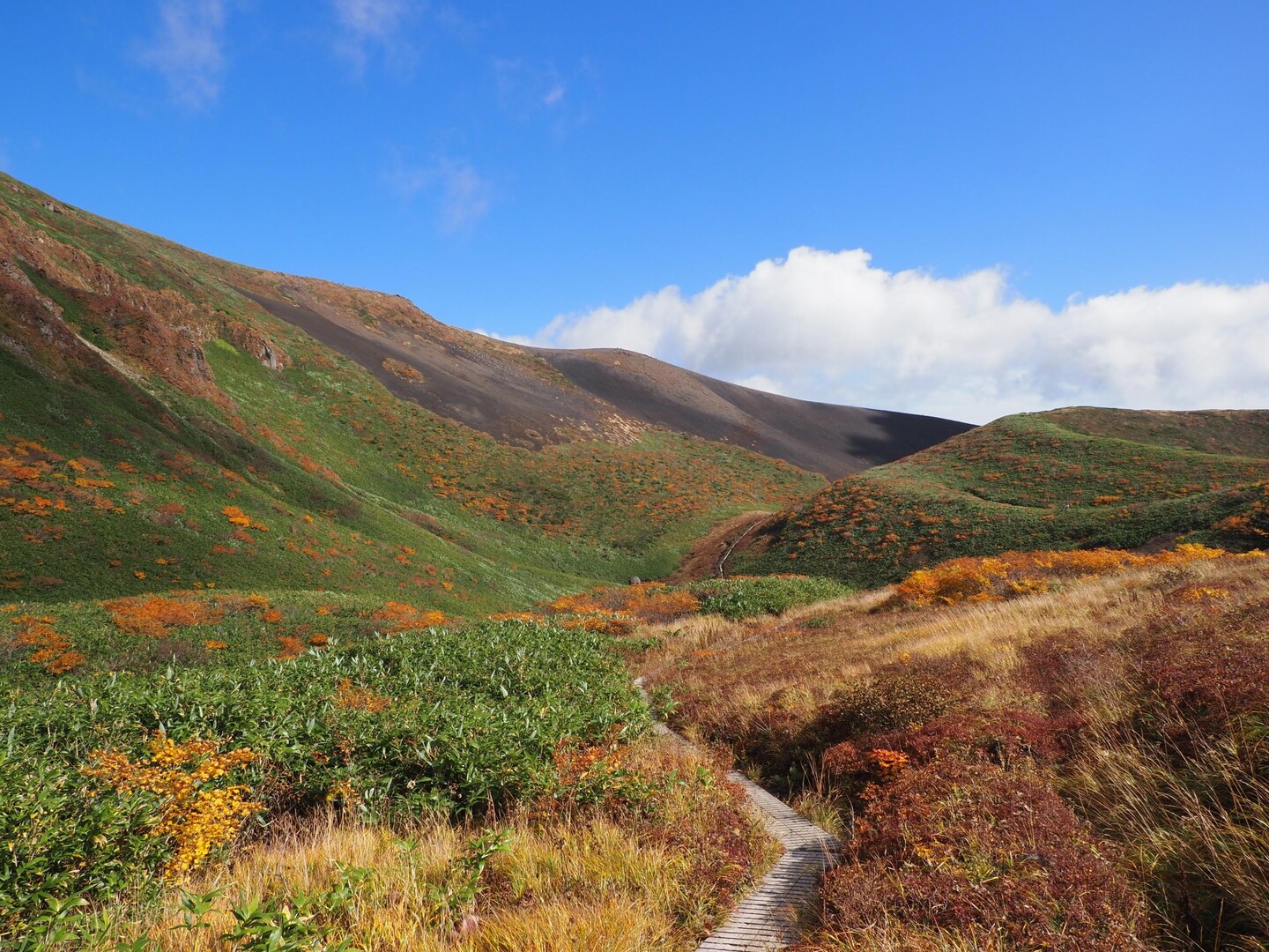 紅葉の秋田駒ヶ岳🍁 / Rougeさんの秋田駒ヶ岳・男女岳・貝吹岳の活動データ | YAMAP / ヤマップ