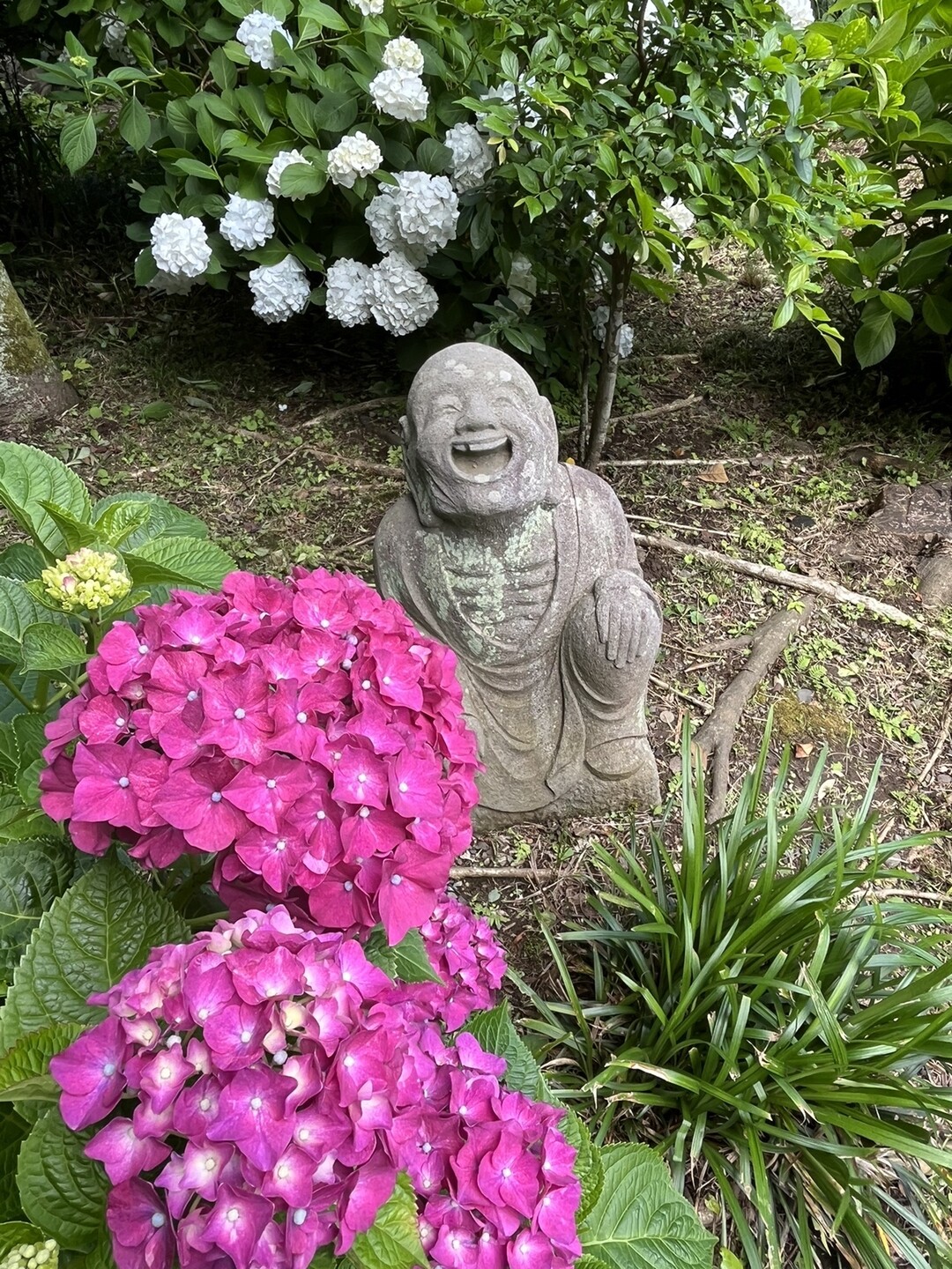 この笑顔に癒される😊 / ミーさんのモーメント | YAMAP / ヤマップ