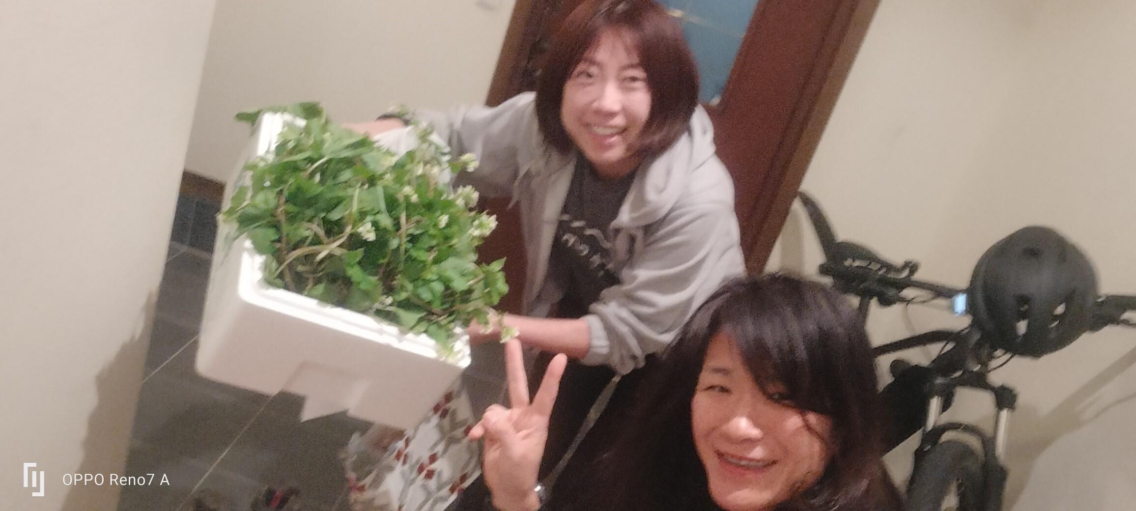 トレランエンジェルは山の幸エンジェルでも... / azukiさんのモーメント | YAMAP / ヤマップ