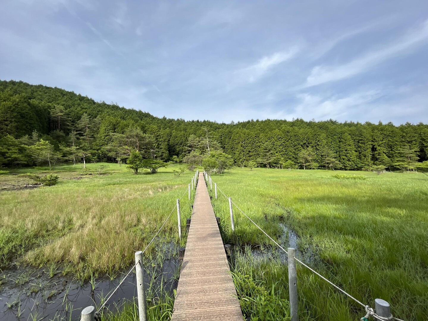 朝活、屏風山 / Hideckさんの屏風山の活動データ | YAMAP / ヤマップ