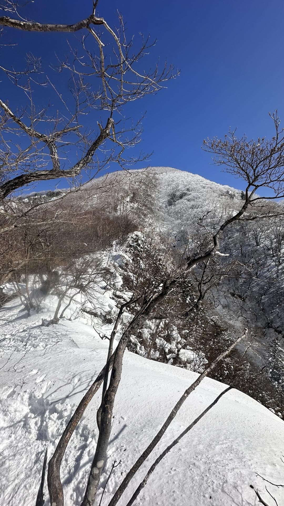 黒檜山（赤城山） / kenjiさんの赤城山・黒檜山・荒山の活動データ | YAMAP / ヤマップ