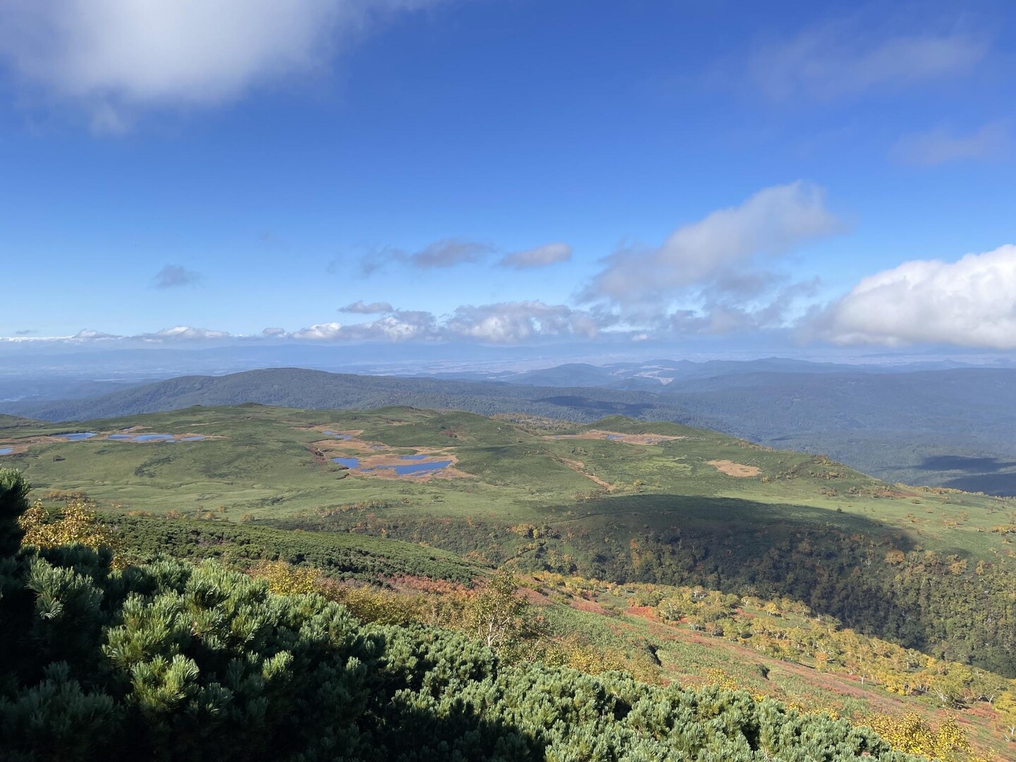 永山岳・安足間岳・比布岳・当麻岳・1591ピーク / かまちさんの大雪山系・旭岳・トムラウシの活動データ | YAMAP / ヤマップ