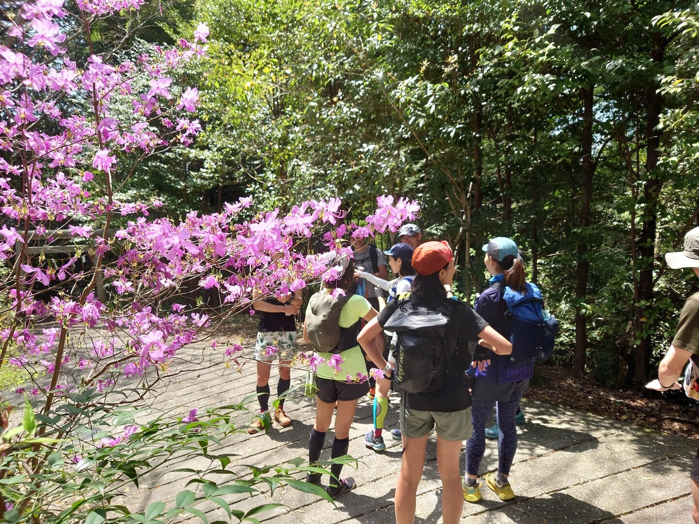 軍畑駅武蔵五日市駅27km / きんちゃんさんの大岳山・御岳山・御前山の活動データ | YAMAP / ヤマップ
