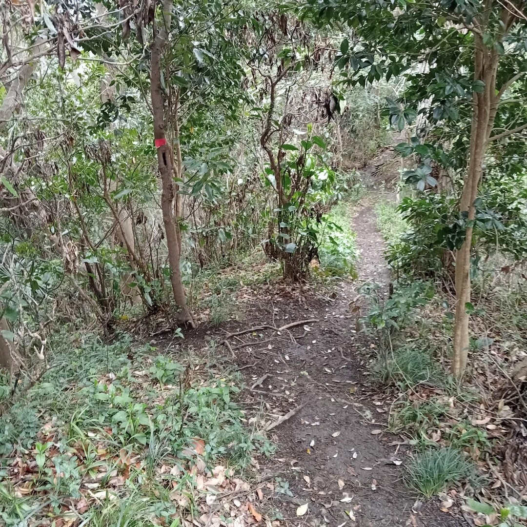 NTNさんの投稿したフィールドメモ | YAMAP / ヤマップ