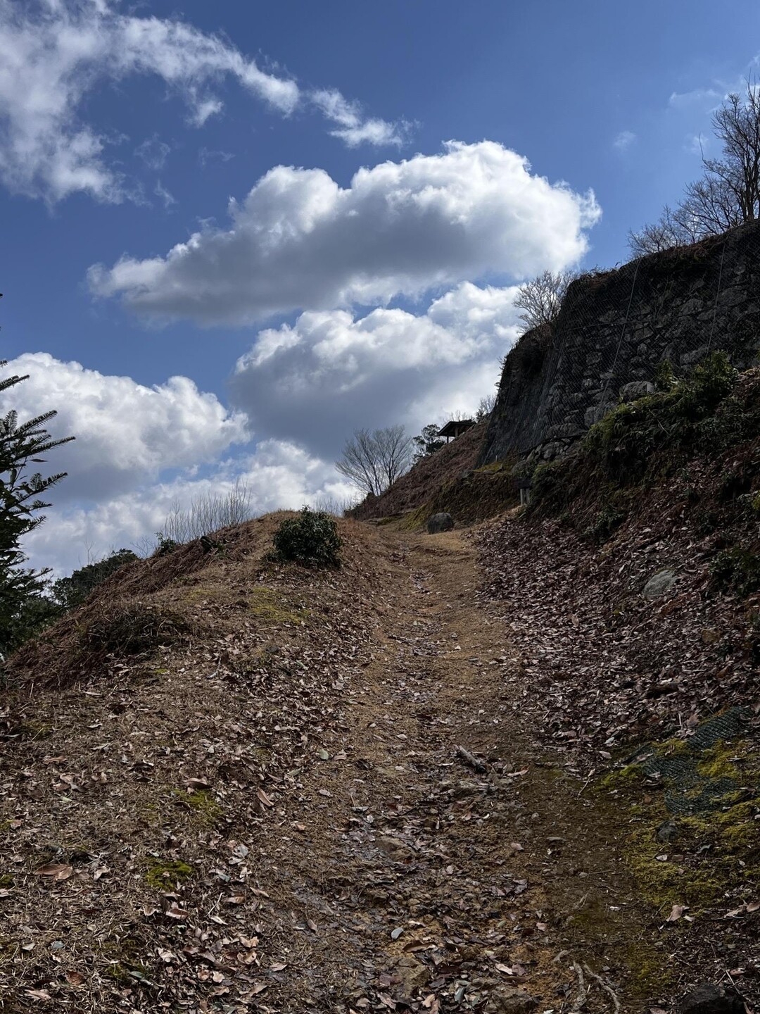 有子山城跡 城山 / idasさんの城山・有子山城跡の活動データ | YAMAP / ヤマップ