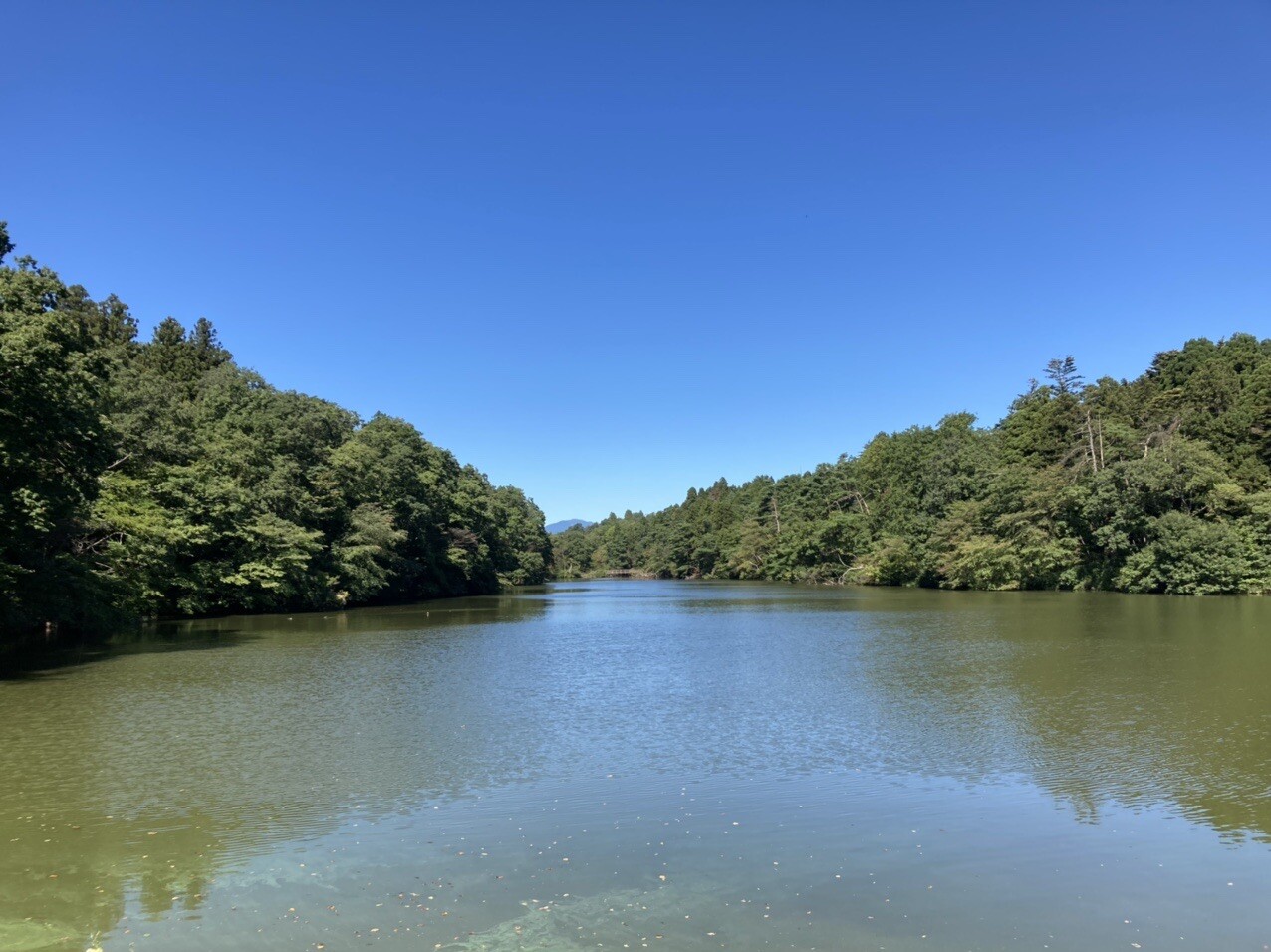おはようございます。 今朝は台風一過、... / OBsunさんのモーメント | YAMAP / ヤマップ